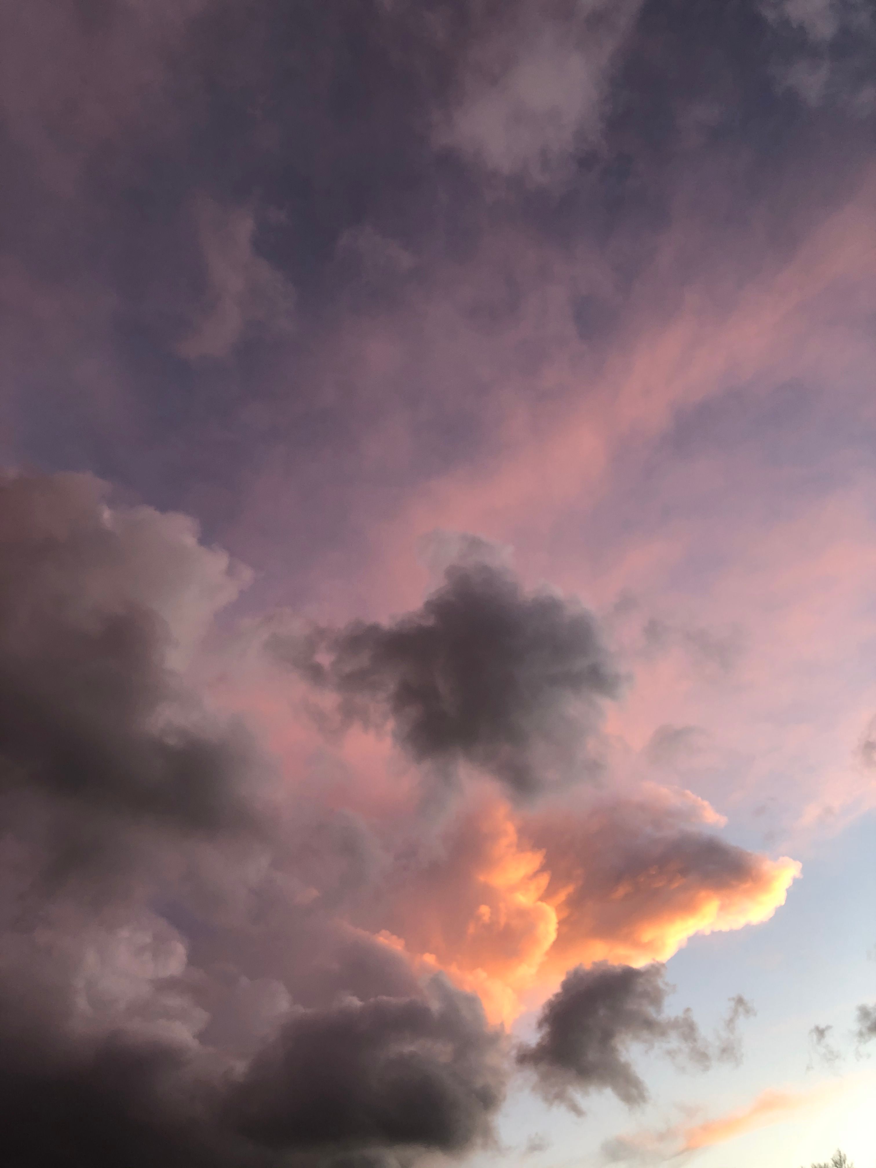 Variety of Clouds · Free Stock Photo