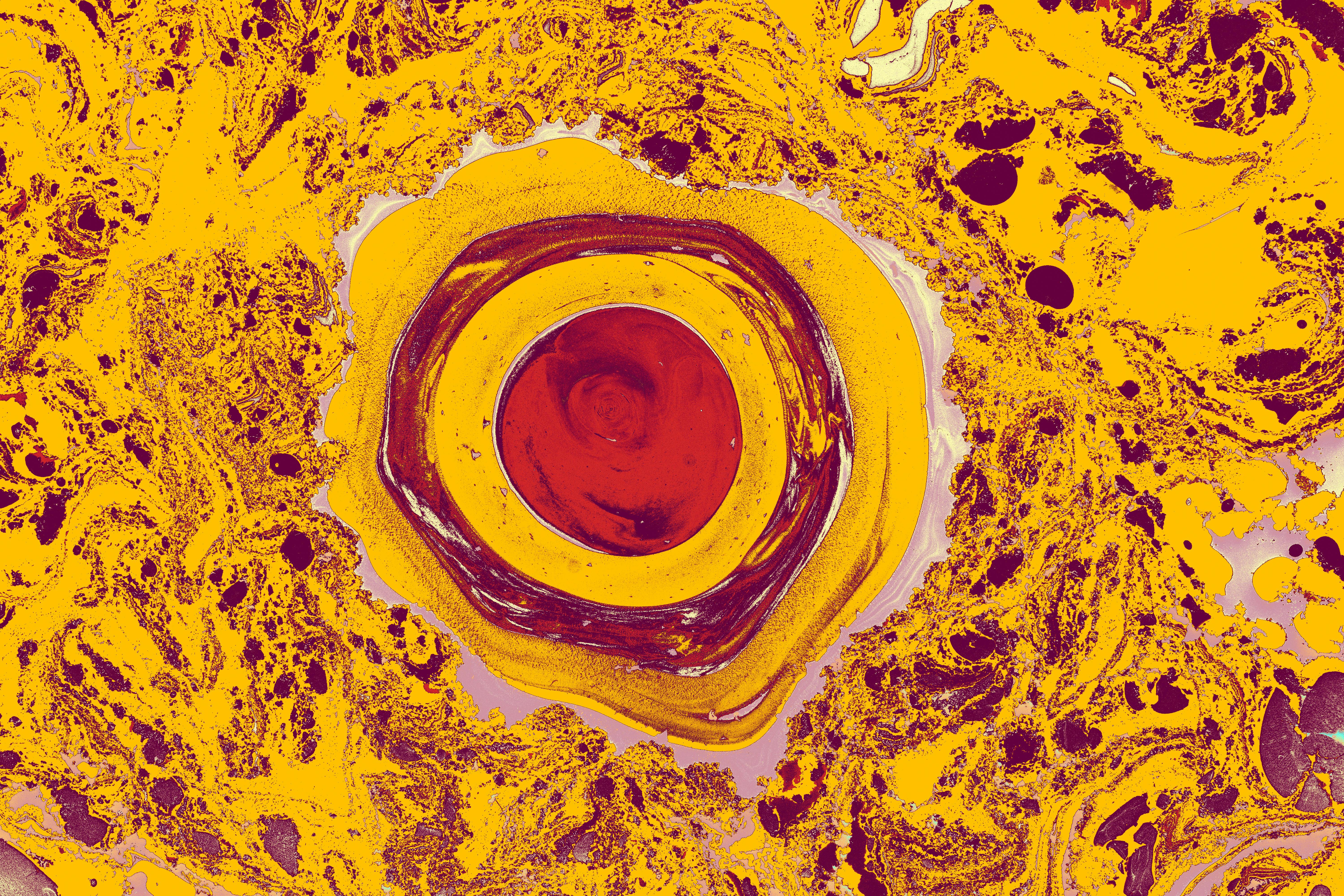 A yellow and red circle in a yellow and orange background · Free Stock ...