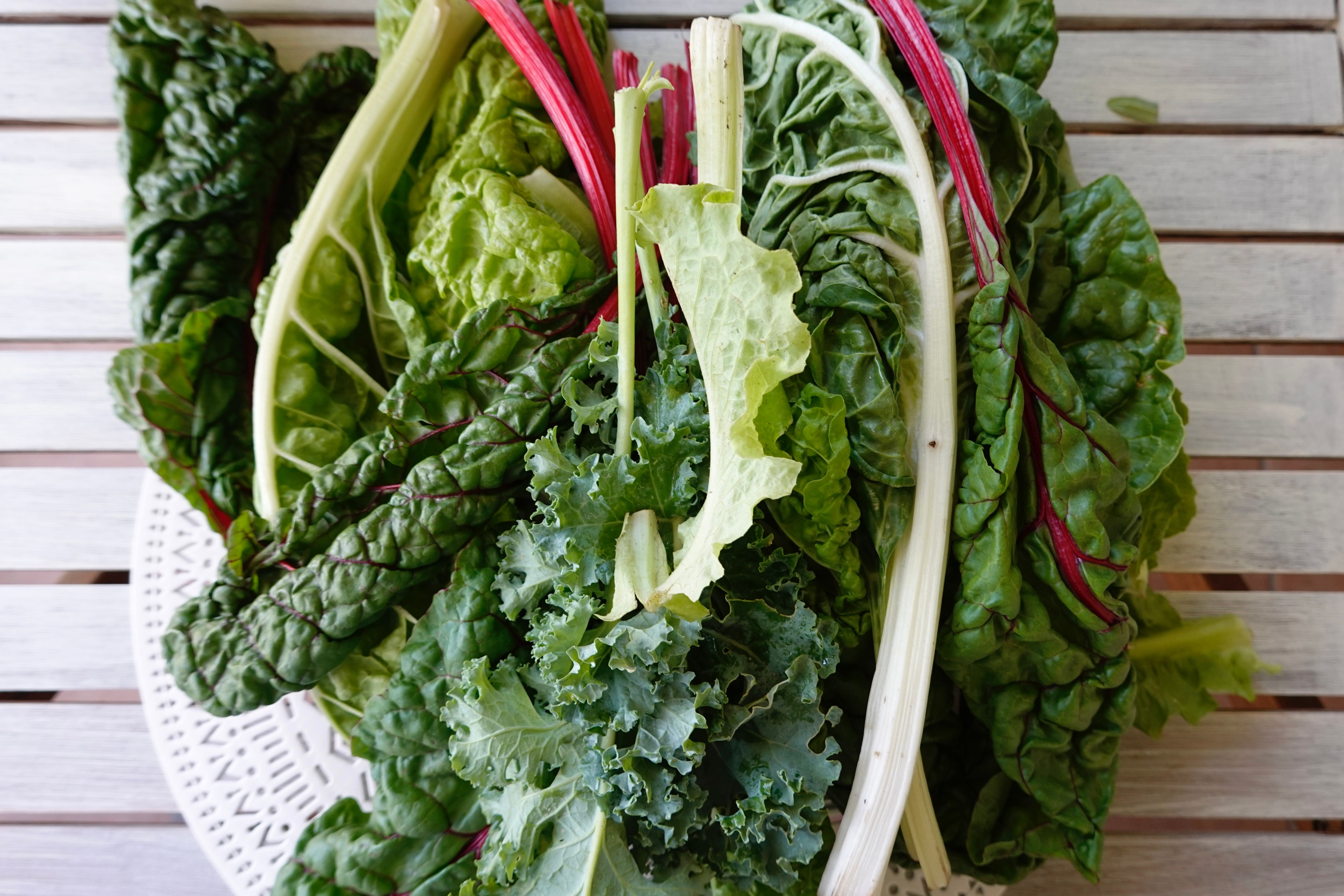 Lettuce on a Plate · Free Stock Photo