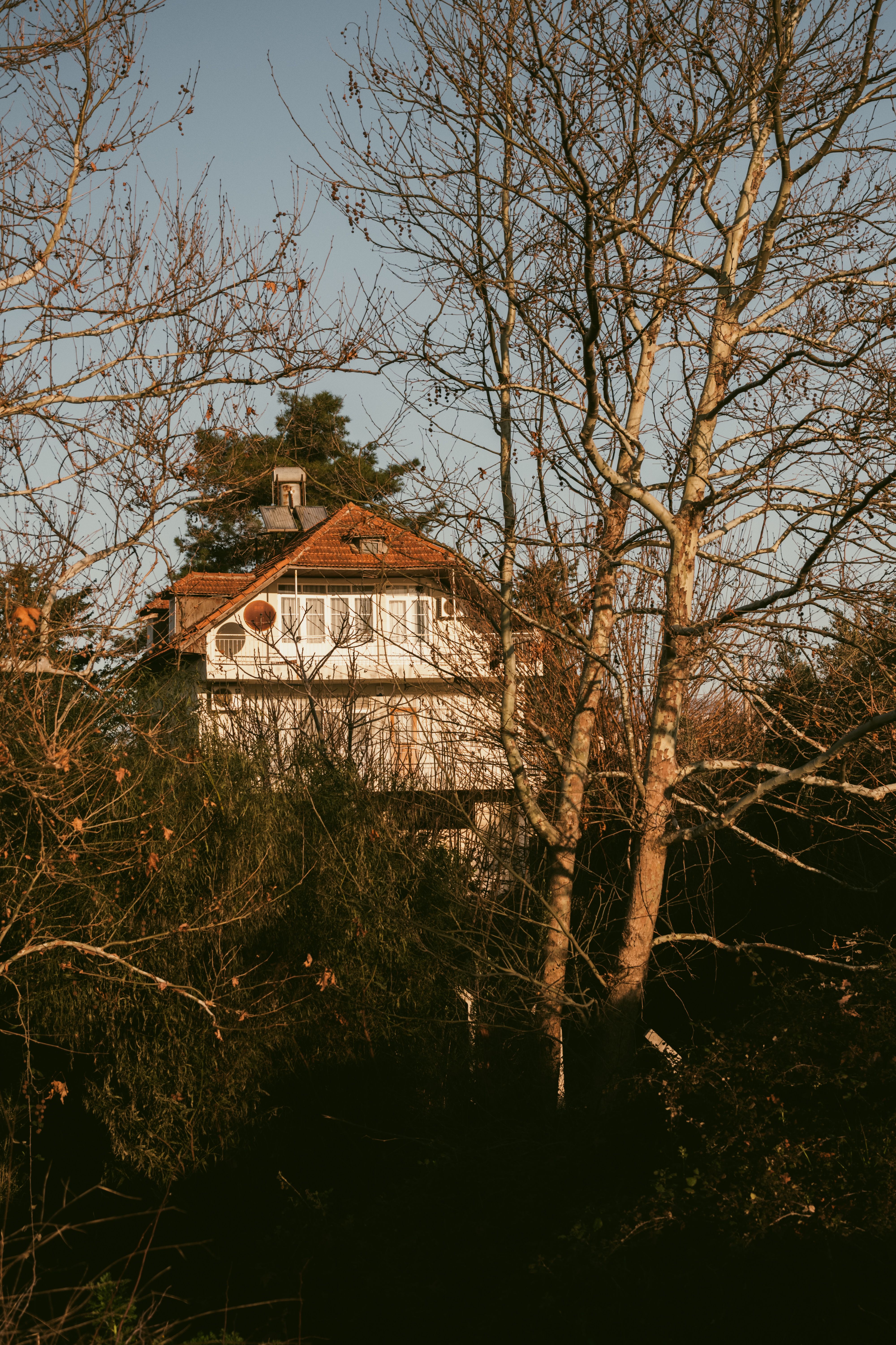 Rural Villa with Yard · Free Stock Photo