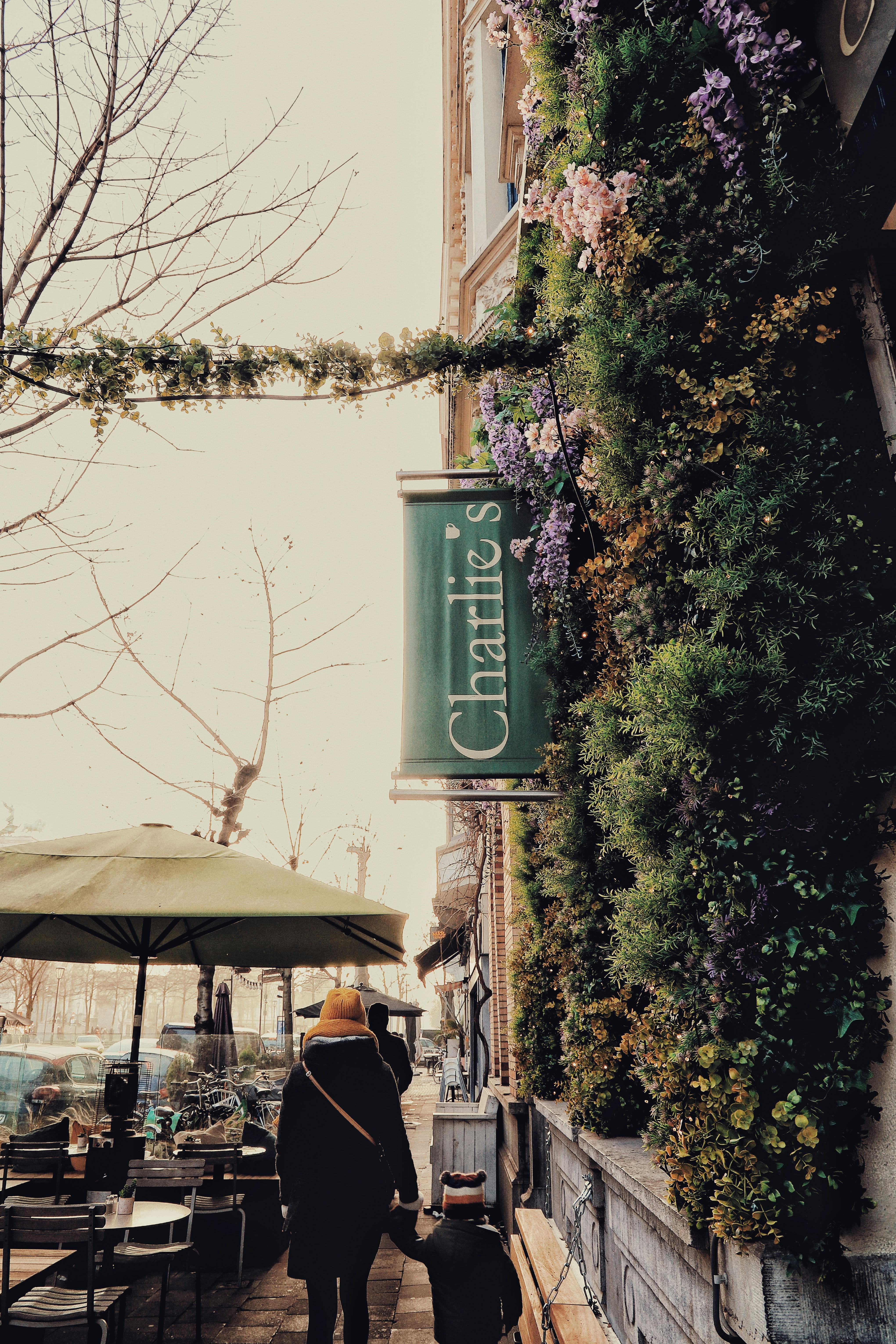 Children on School Trip · Free Stock Photo