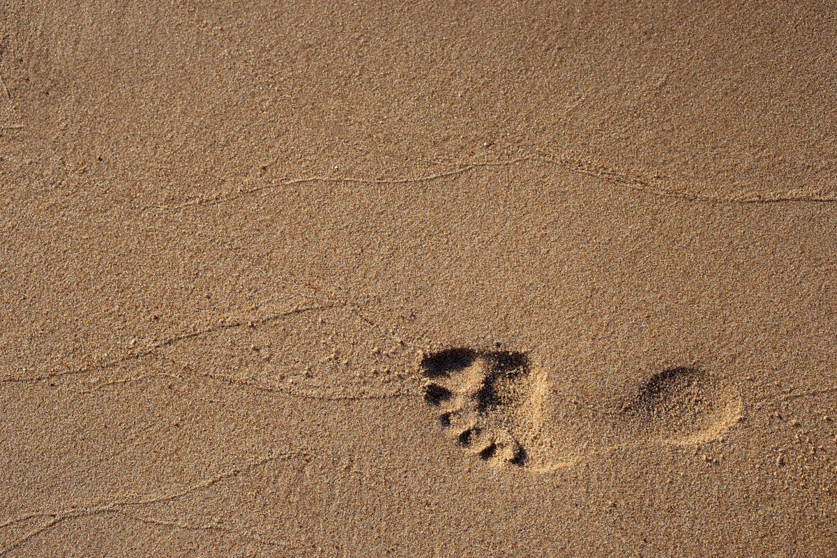 Footstep Photos, Download The BEST Free Footstep Stock Photos & HD Images