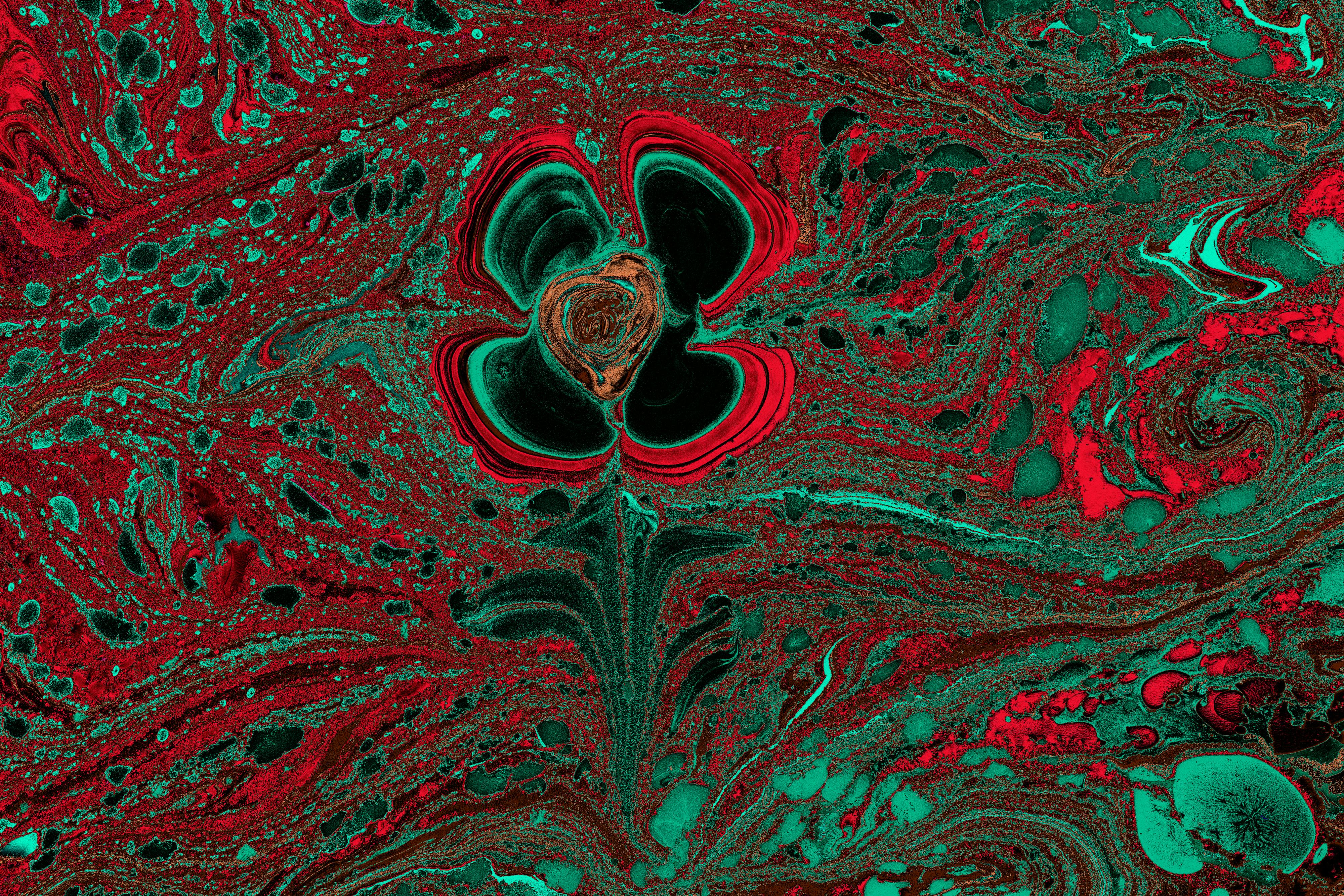 Sand Drawing of Flower · Free Stock Photo