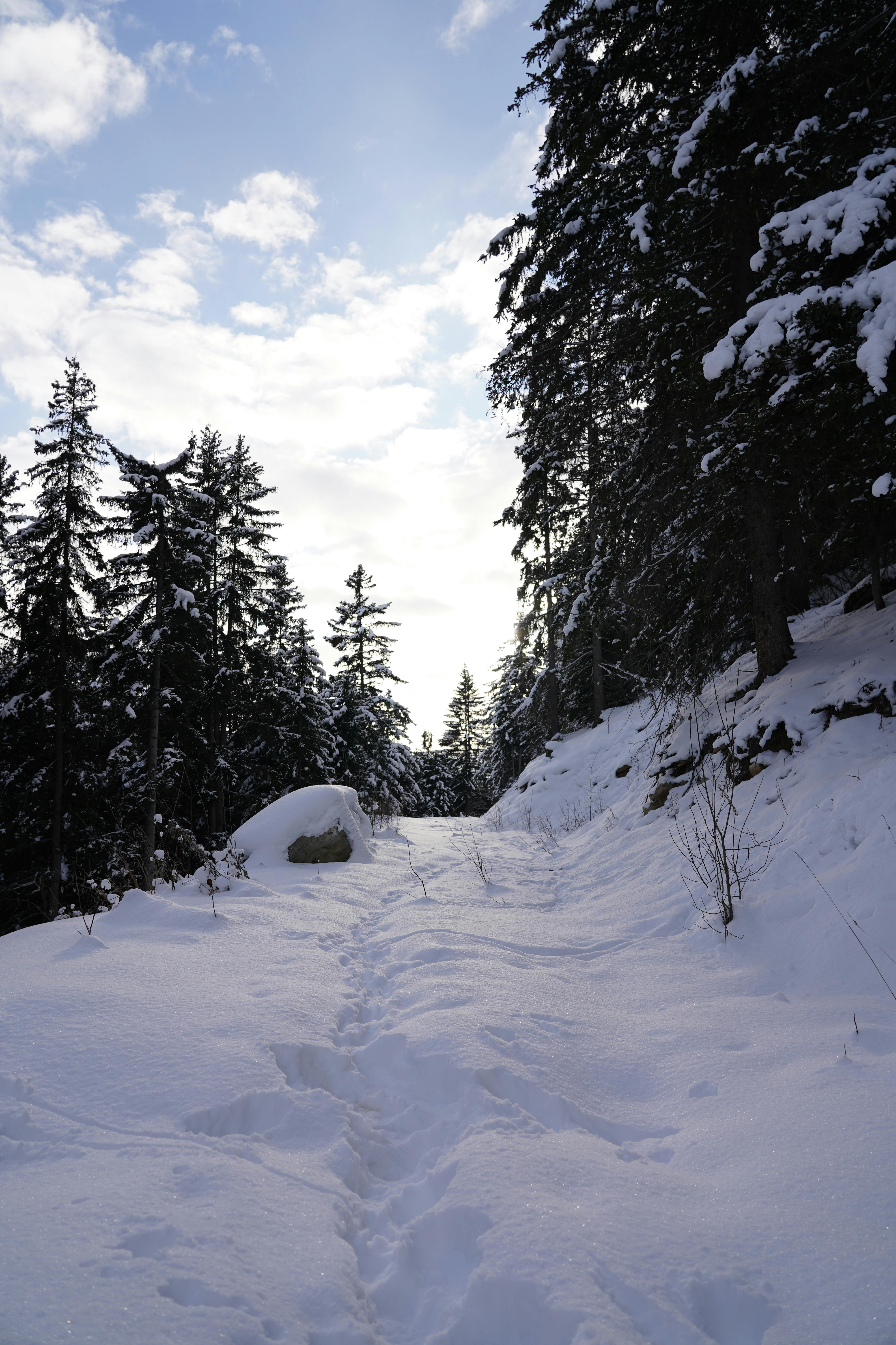 Wind Turbine in Winter · Free Stock Photo
