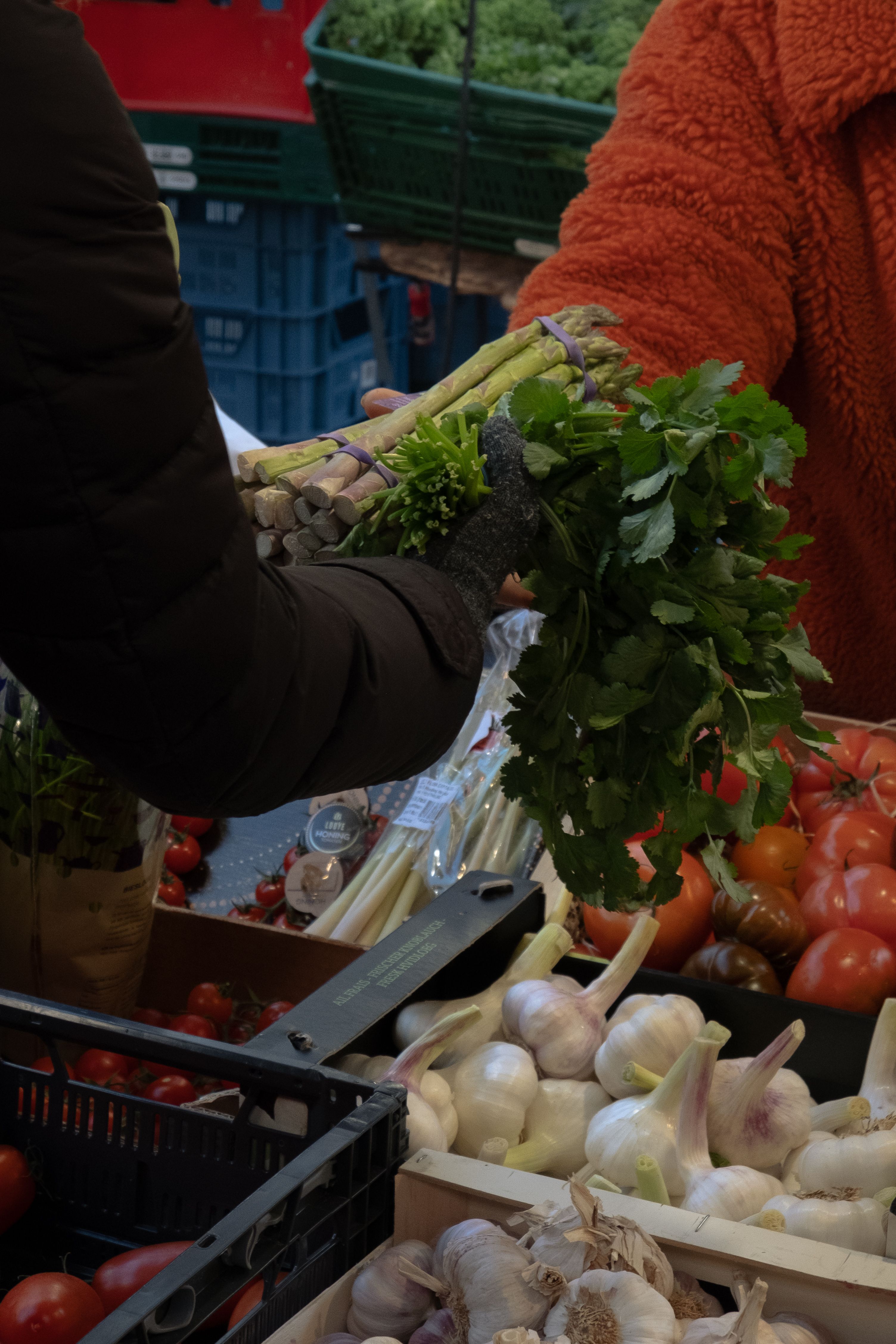 Selling Vegetables on Street Market · Free Stock Photo