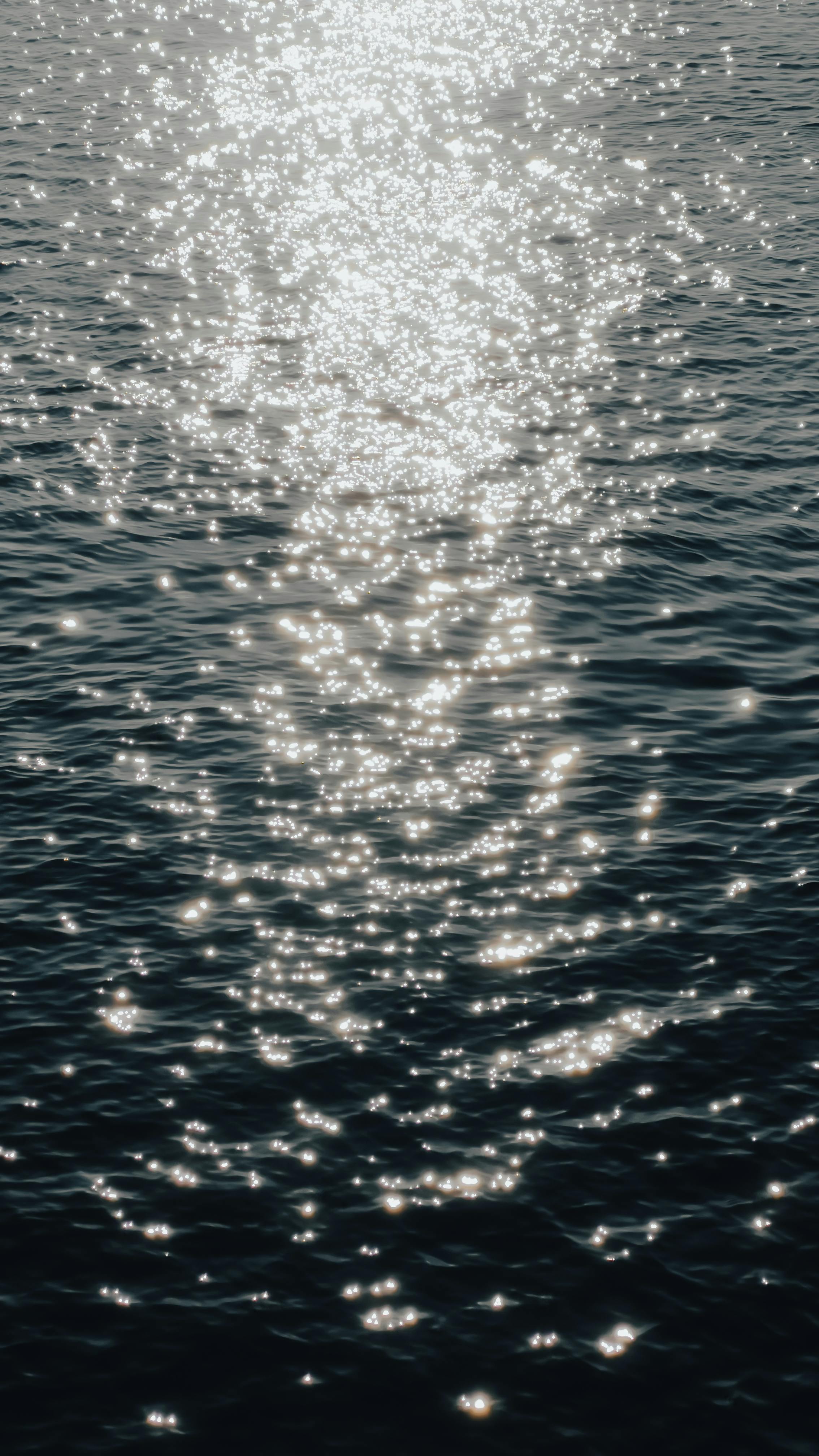 Shiny Water Surface · Free Stock Photo