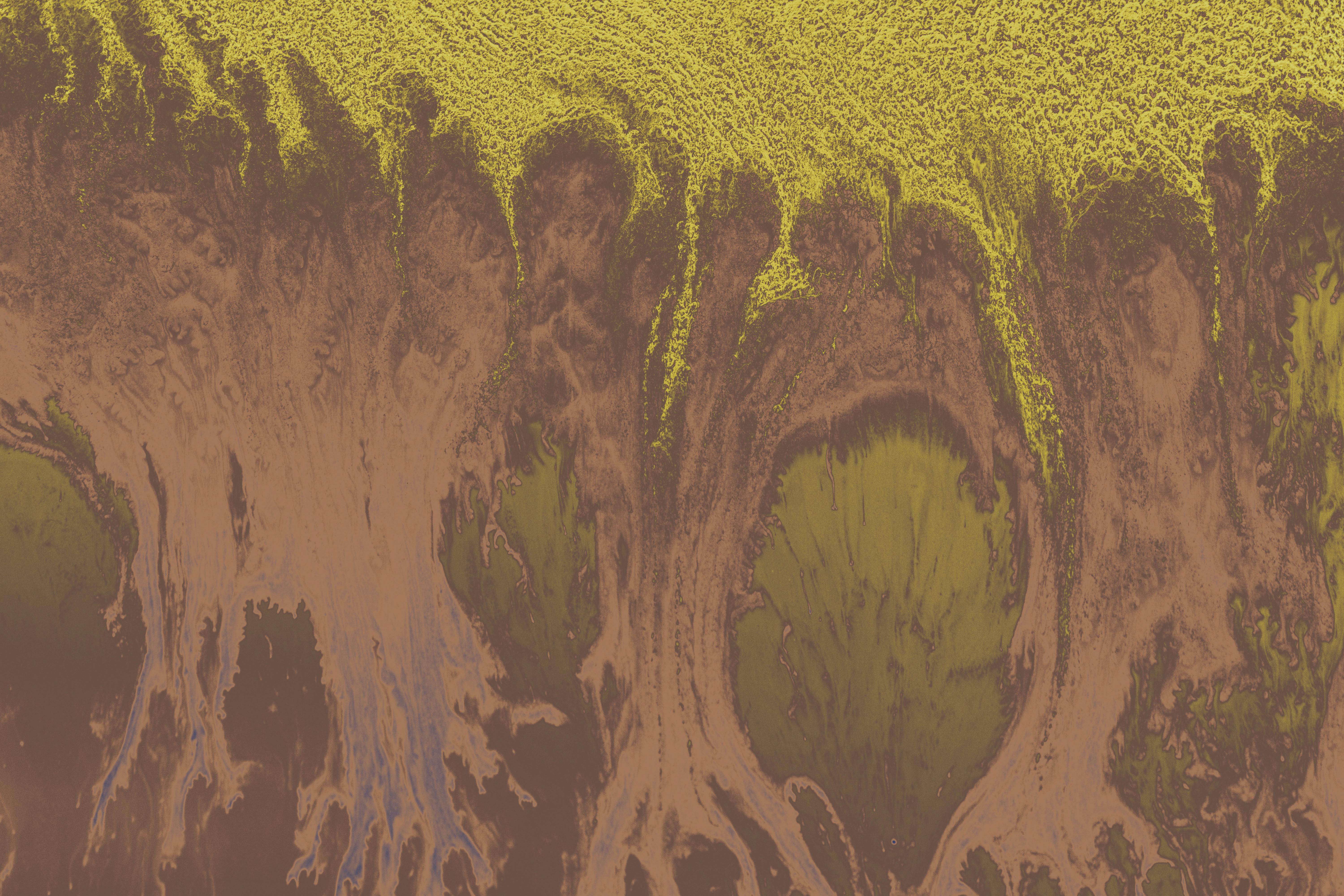 Abstract Trees Shapes · Free Stock Photo