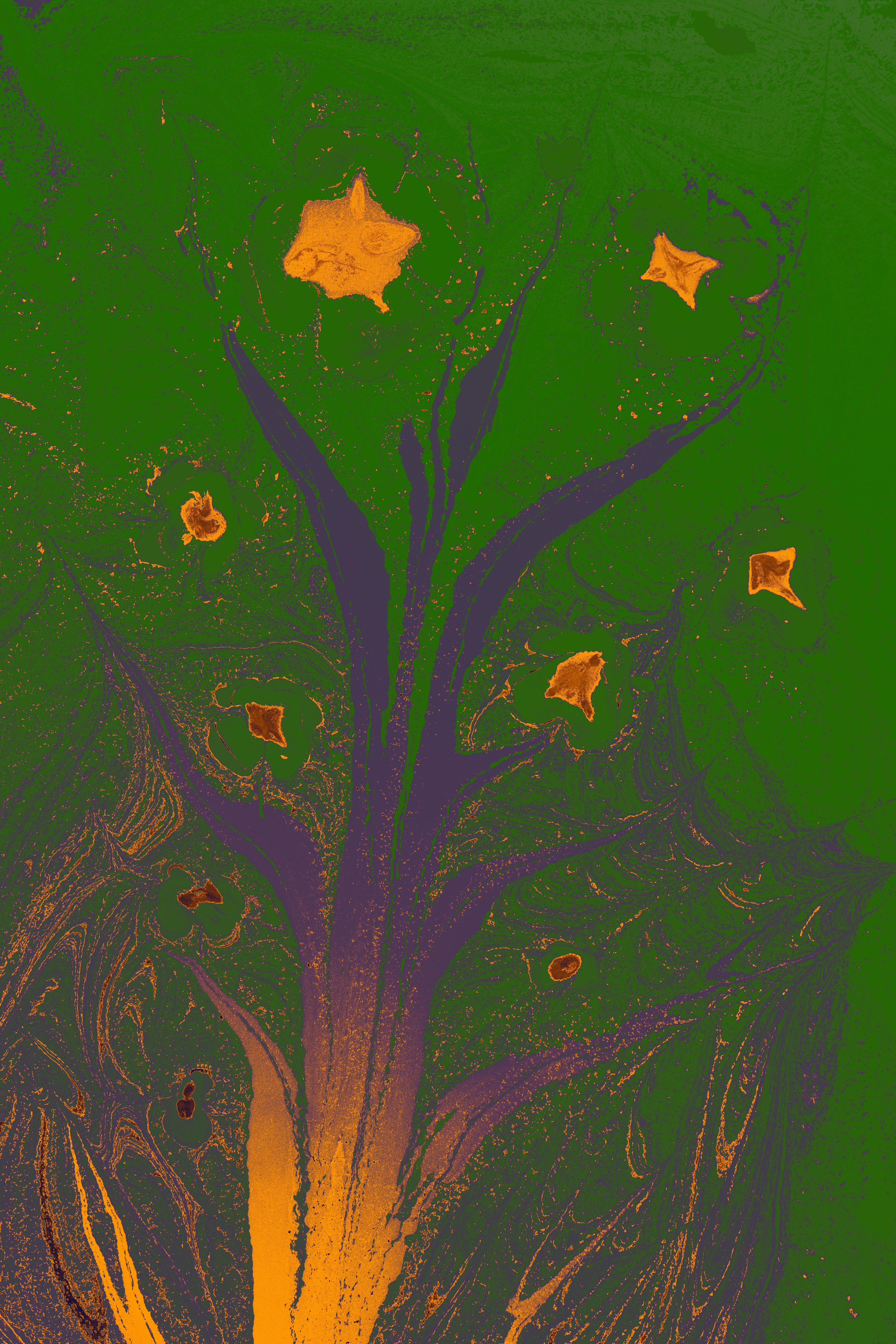 Flower Sand Drawing · Free Stock Photo