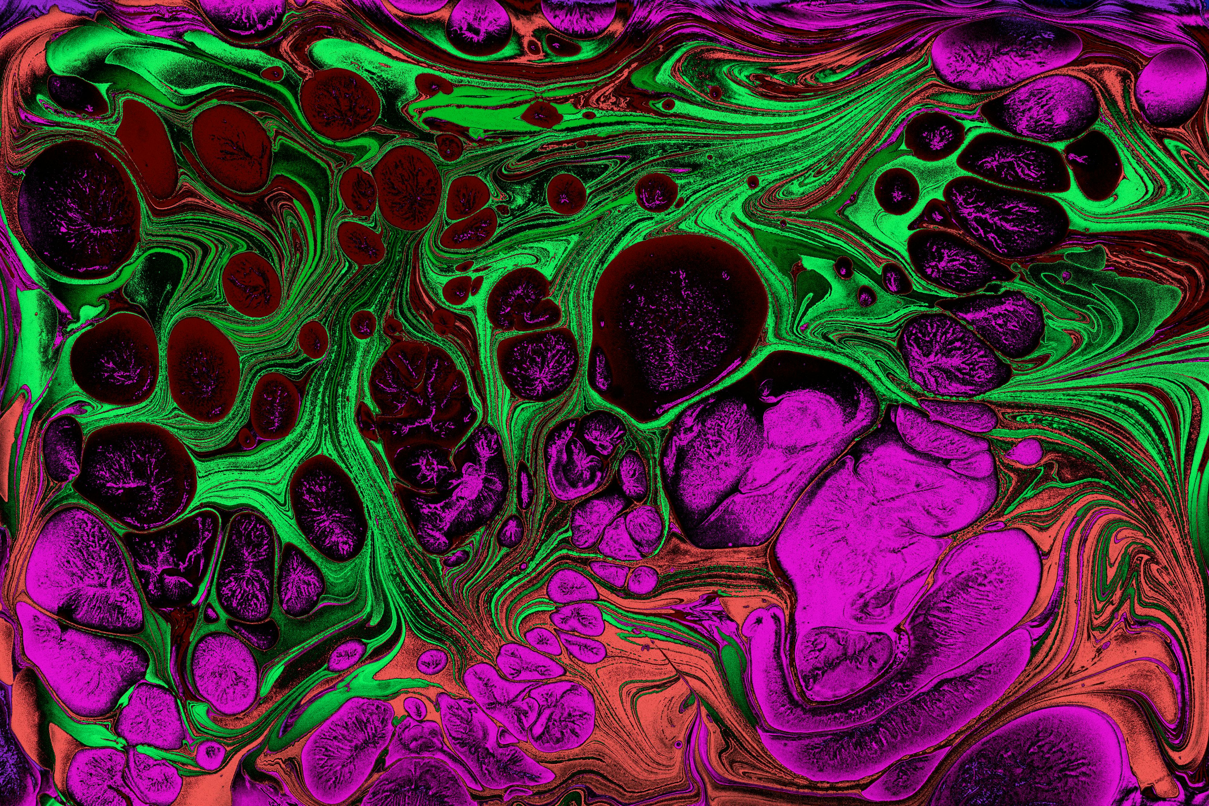 Tri-Color Background · Free Stock Photo