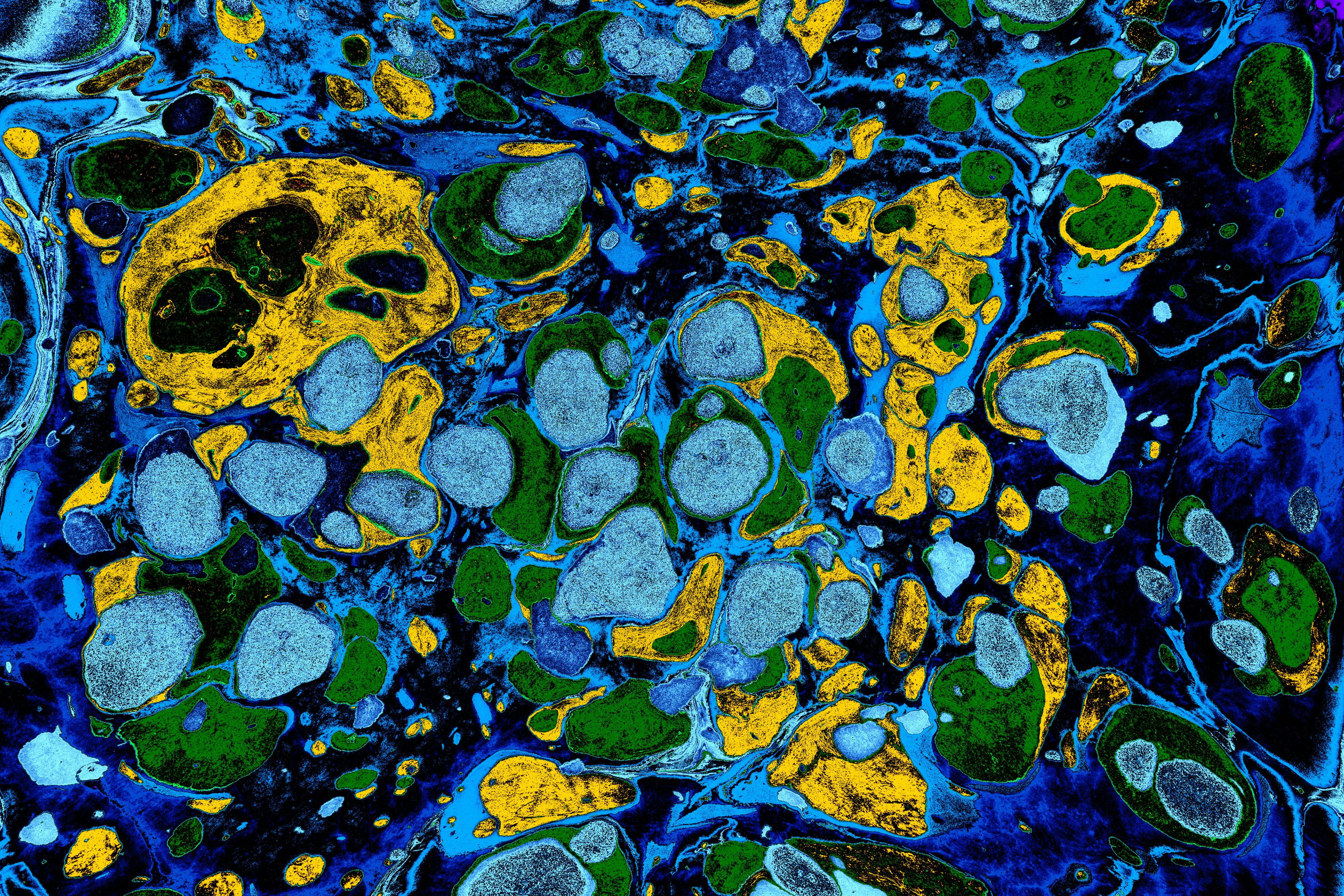 Abstract Painting Of Nature · Free Stock Photo