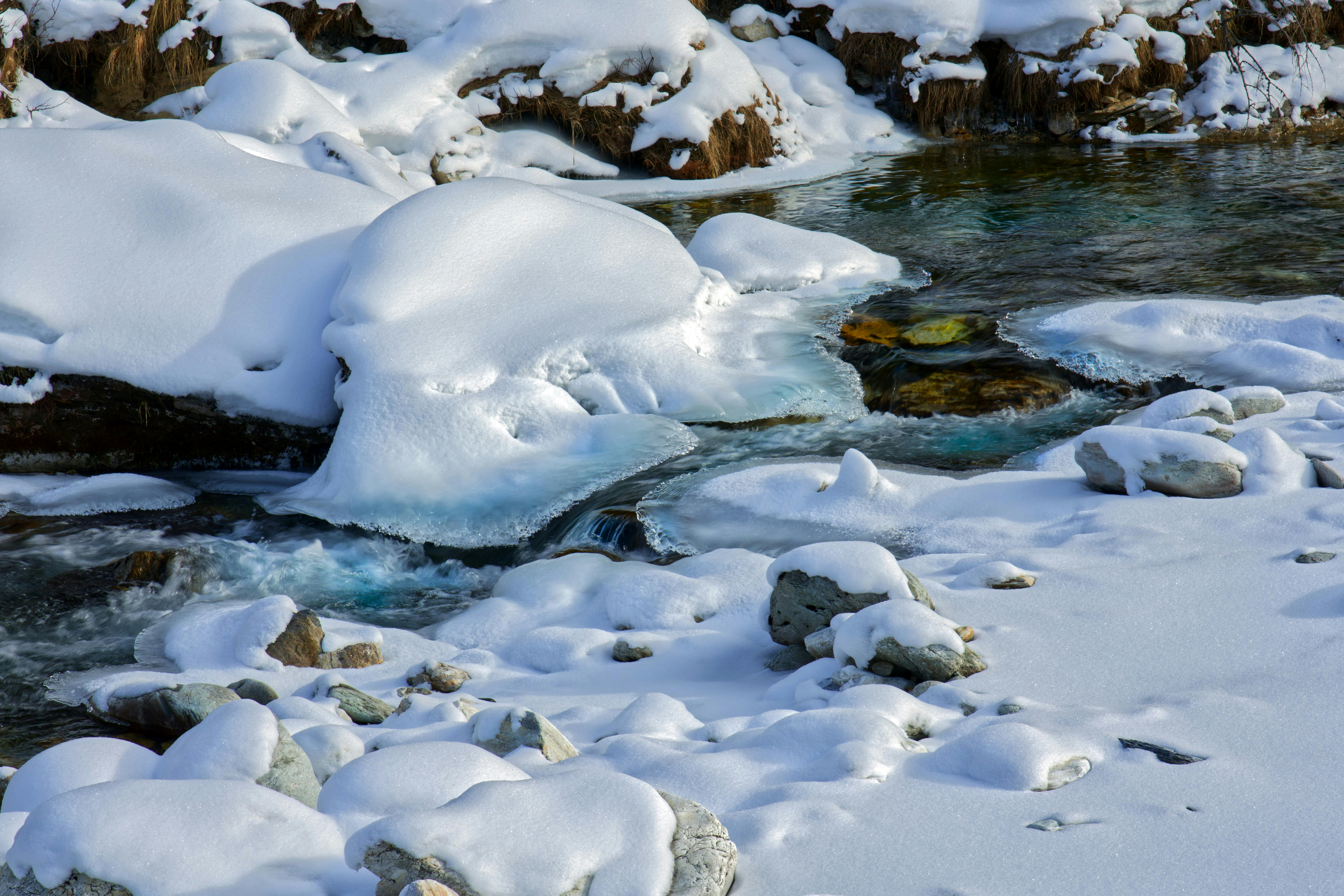 Stream in Snow · Free Stock Photo