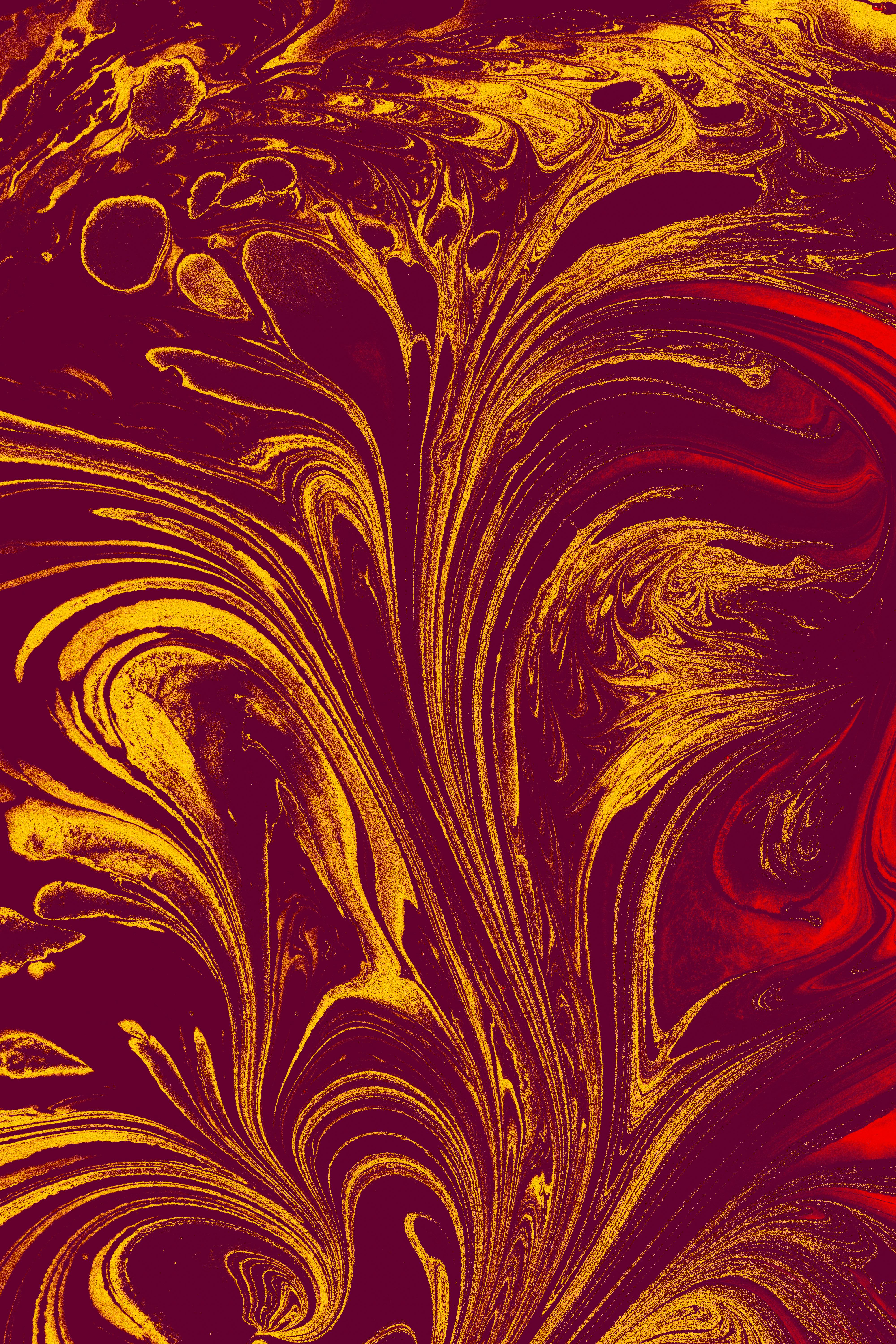 Abstract Plant Photos, Download The BEST Free Abstract Plant Stock ...