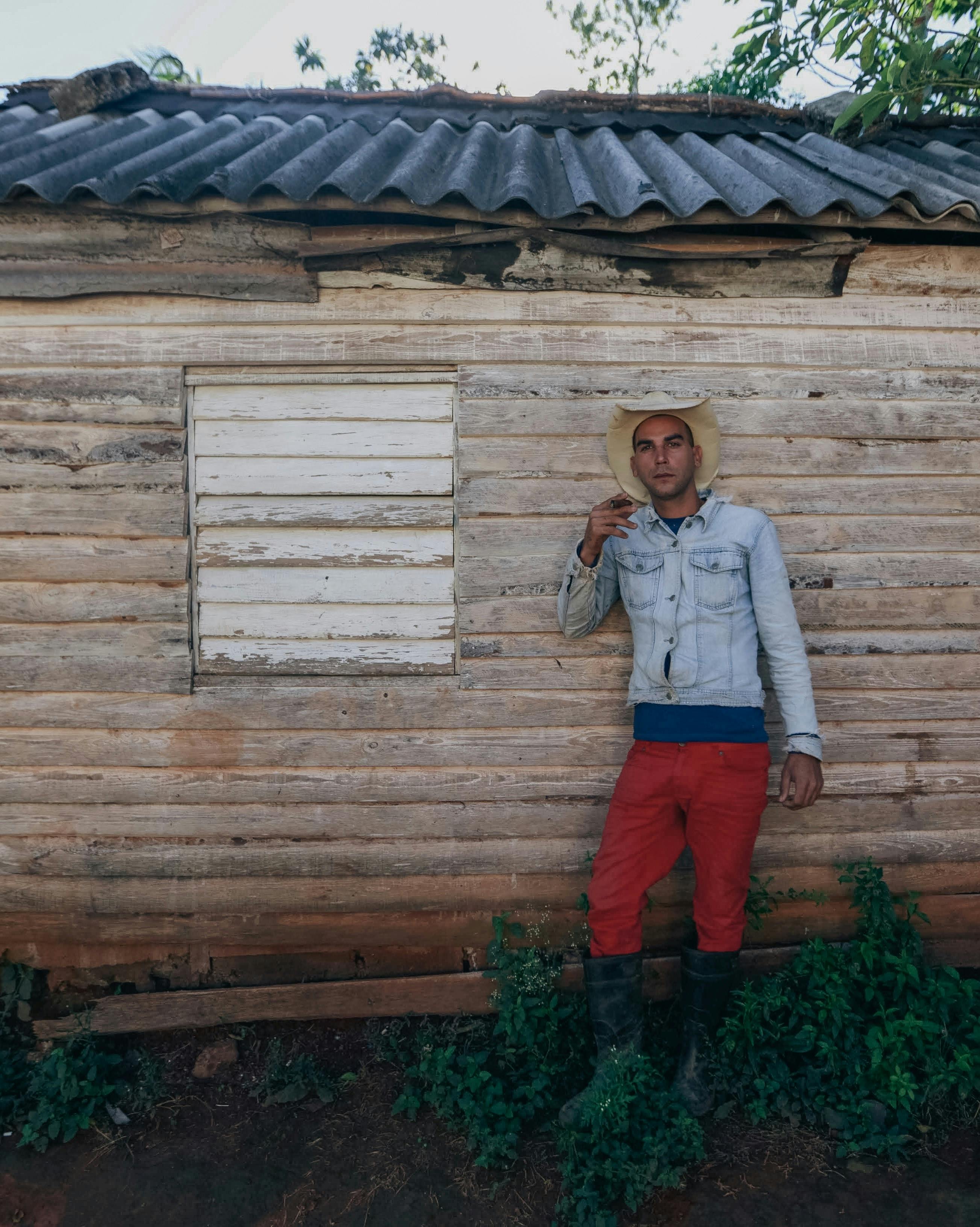 Wacky Shack Photos, Download The BEST Free Wacky Shack Stock Photos ...