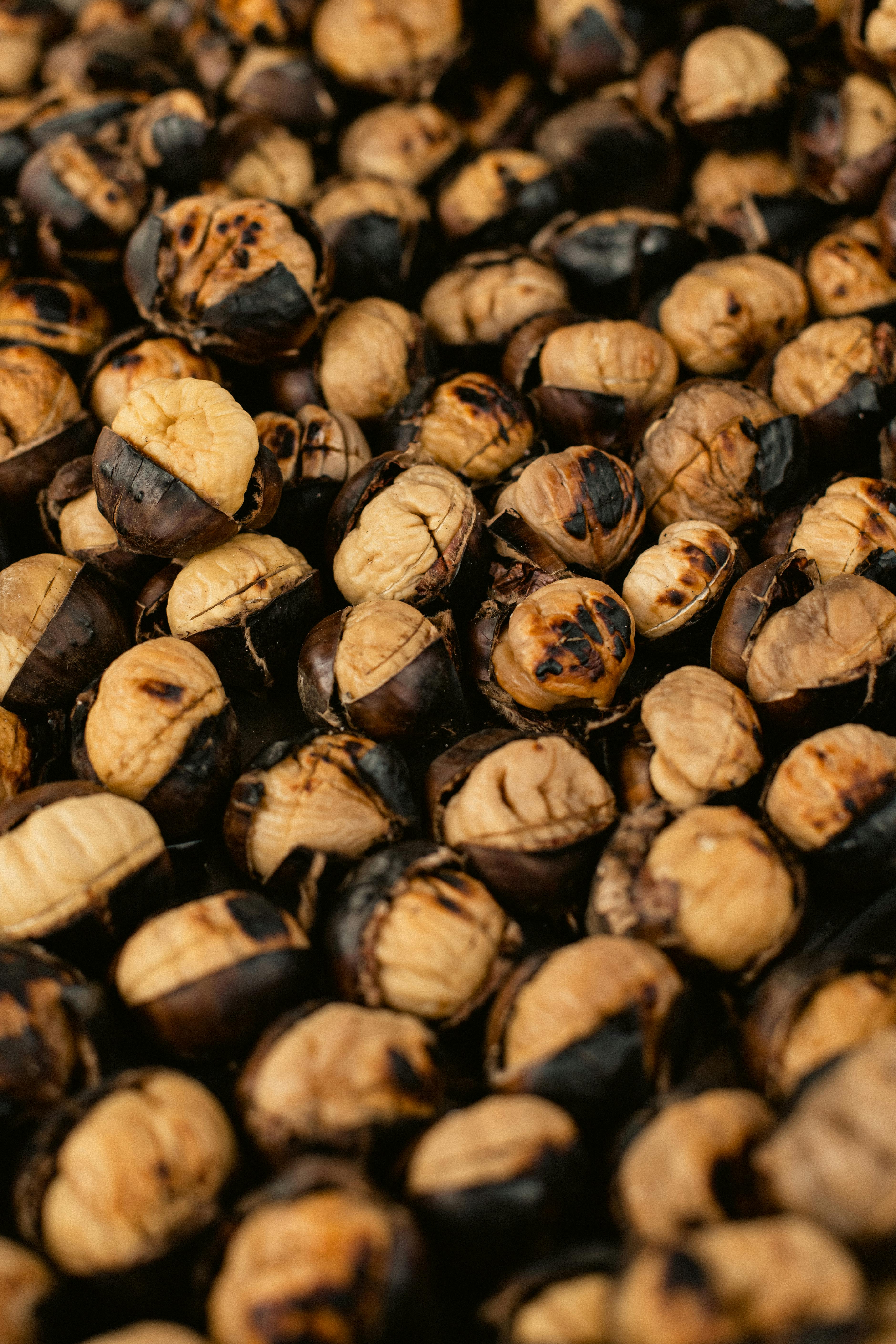 Close up of Chestnuts · Free Stock Photo