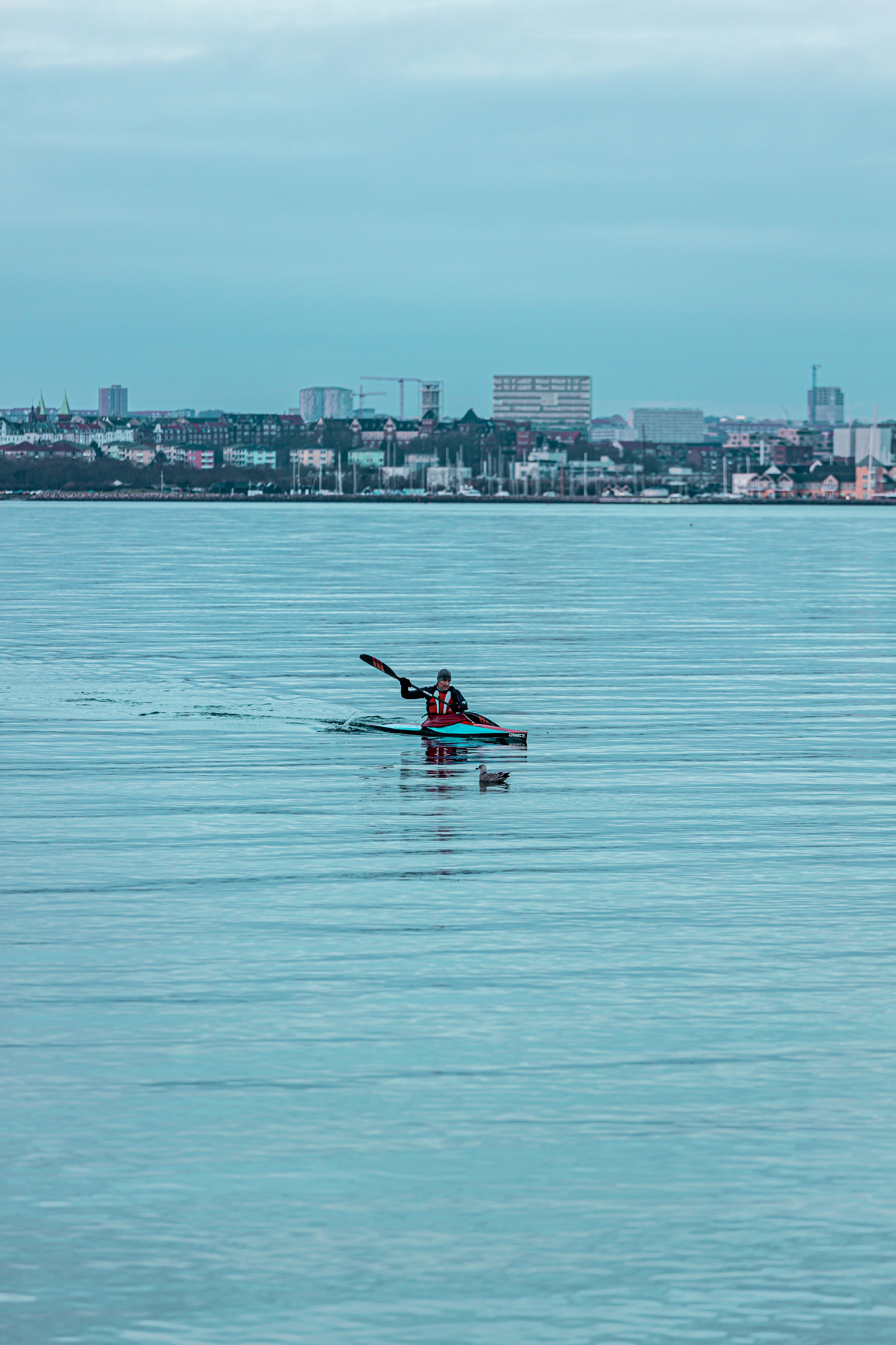Man Kayaking in the Sea · Free Stock Photo