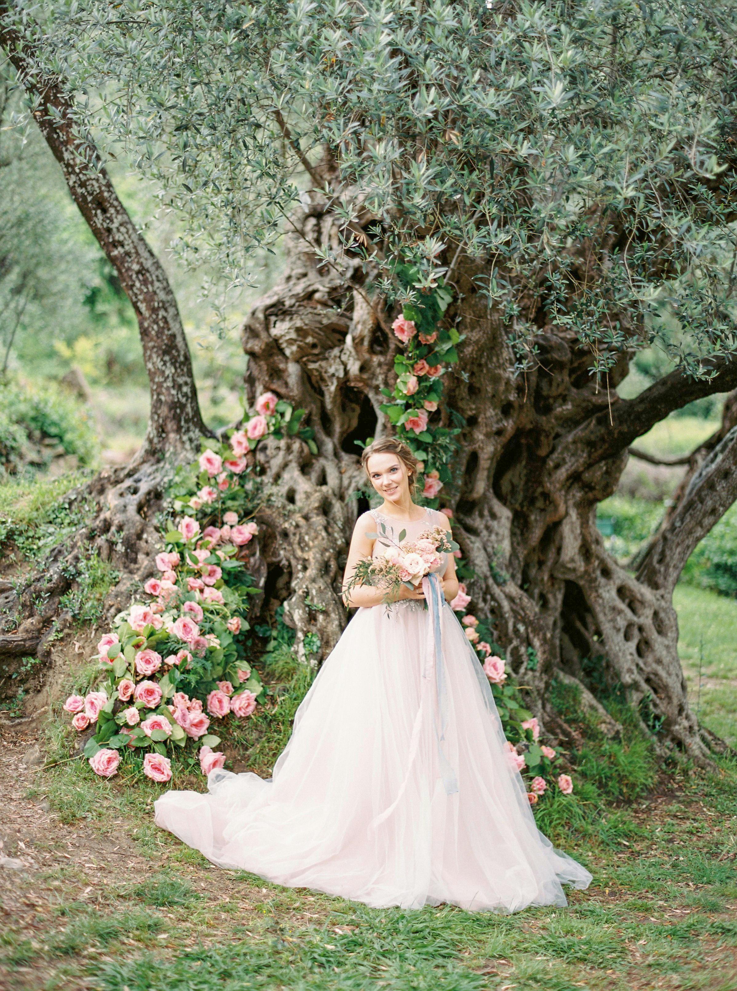 Bride in Wedding Dress Posing near Old Tree in Forest · Free Stock Photo