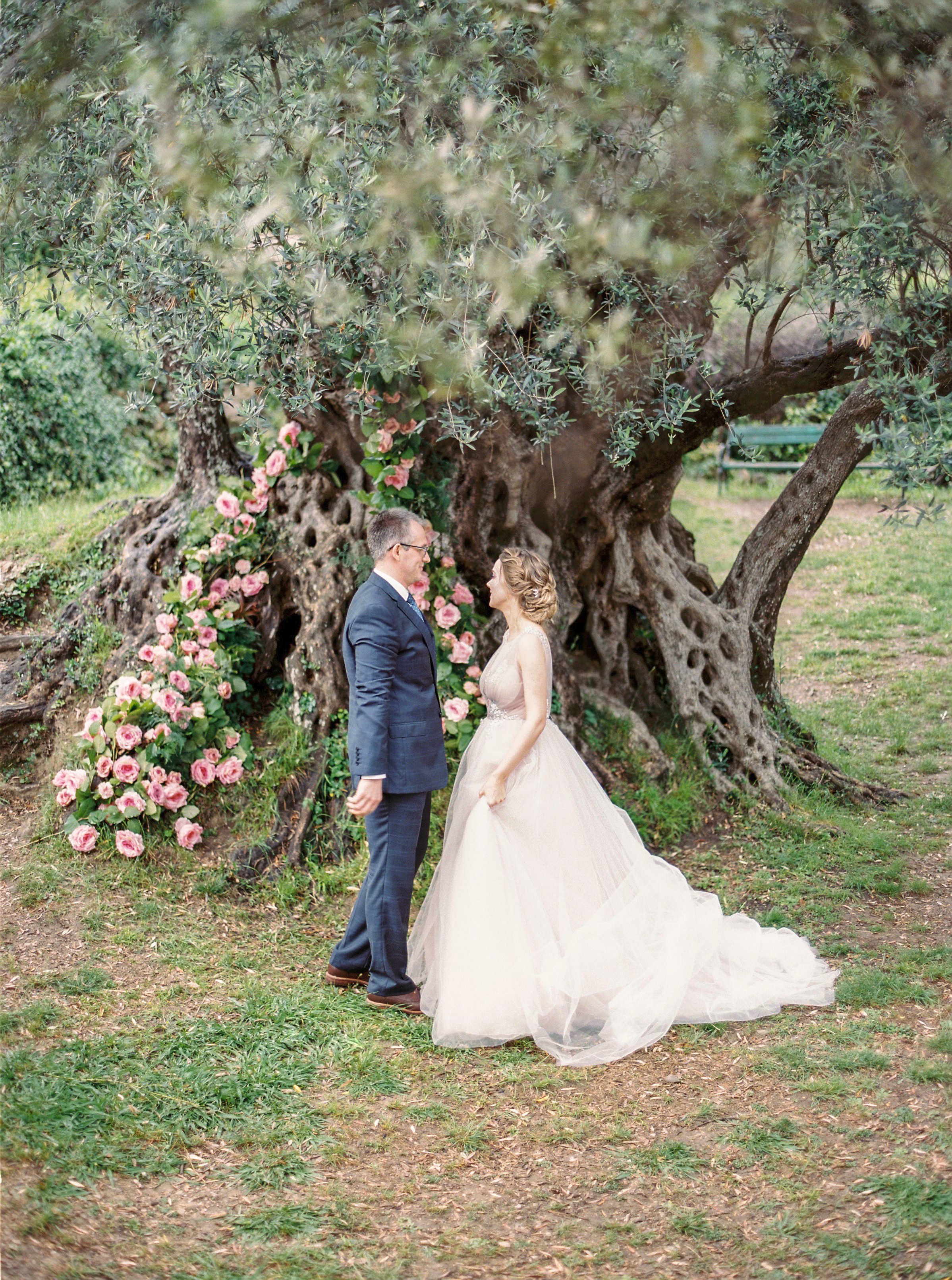 Bride in Wedding Dress Posing near Old Tree in Forest · Free Stock Photo