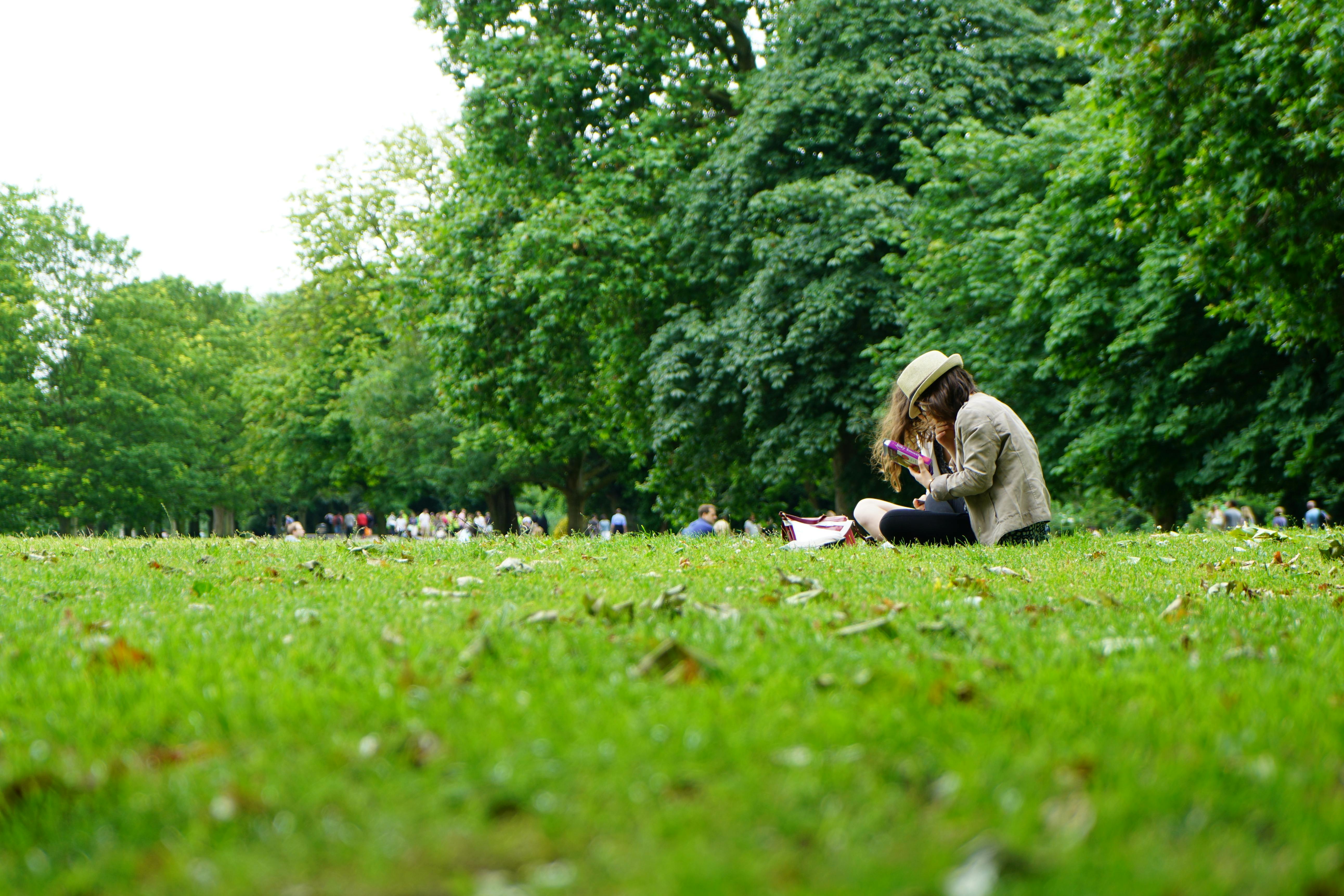 People Sitting On Green Grass Field · Free Stock Photo