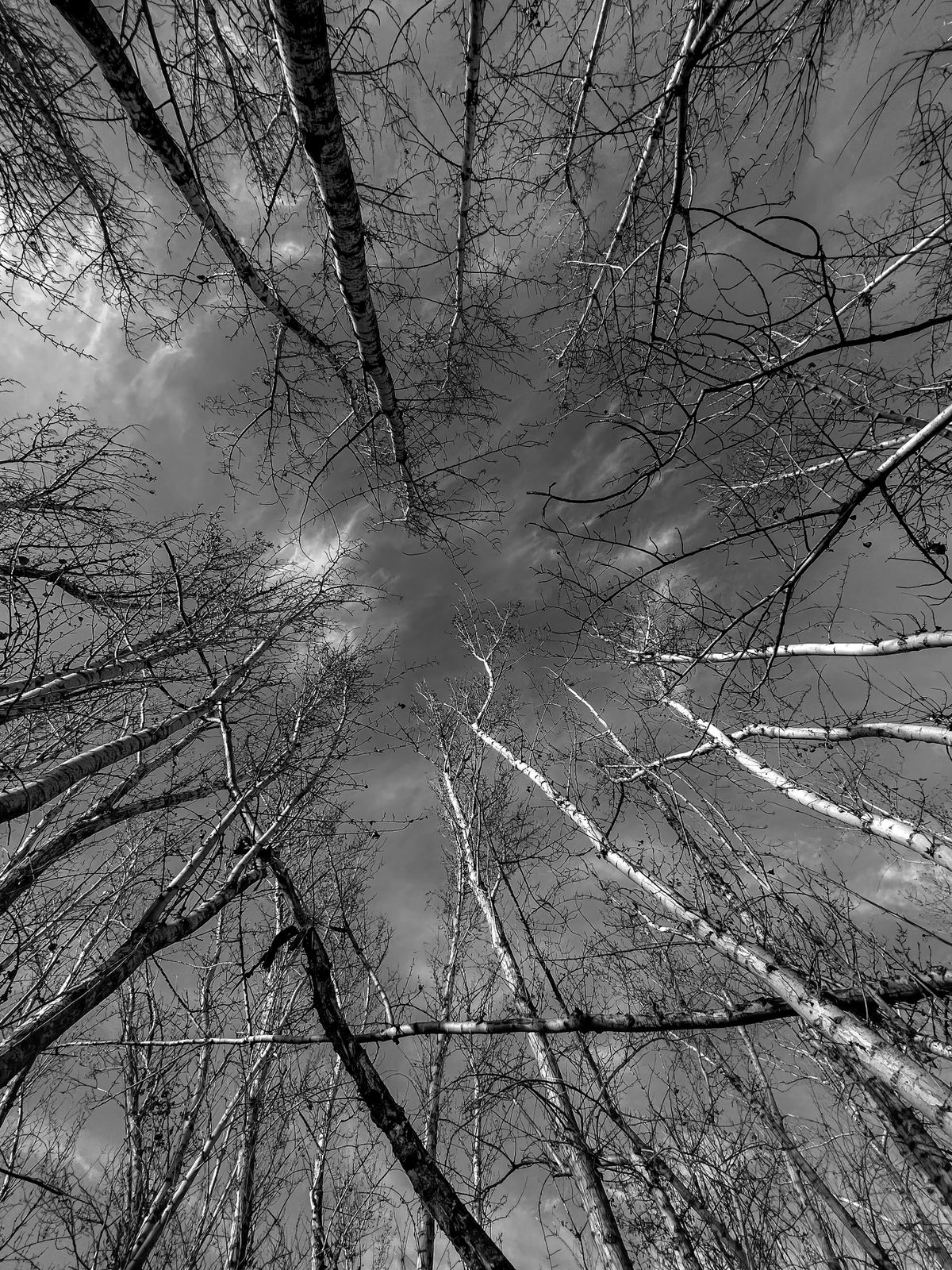 Mono Background Photos, Download The BEST Free Mono Background Stock ...