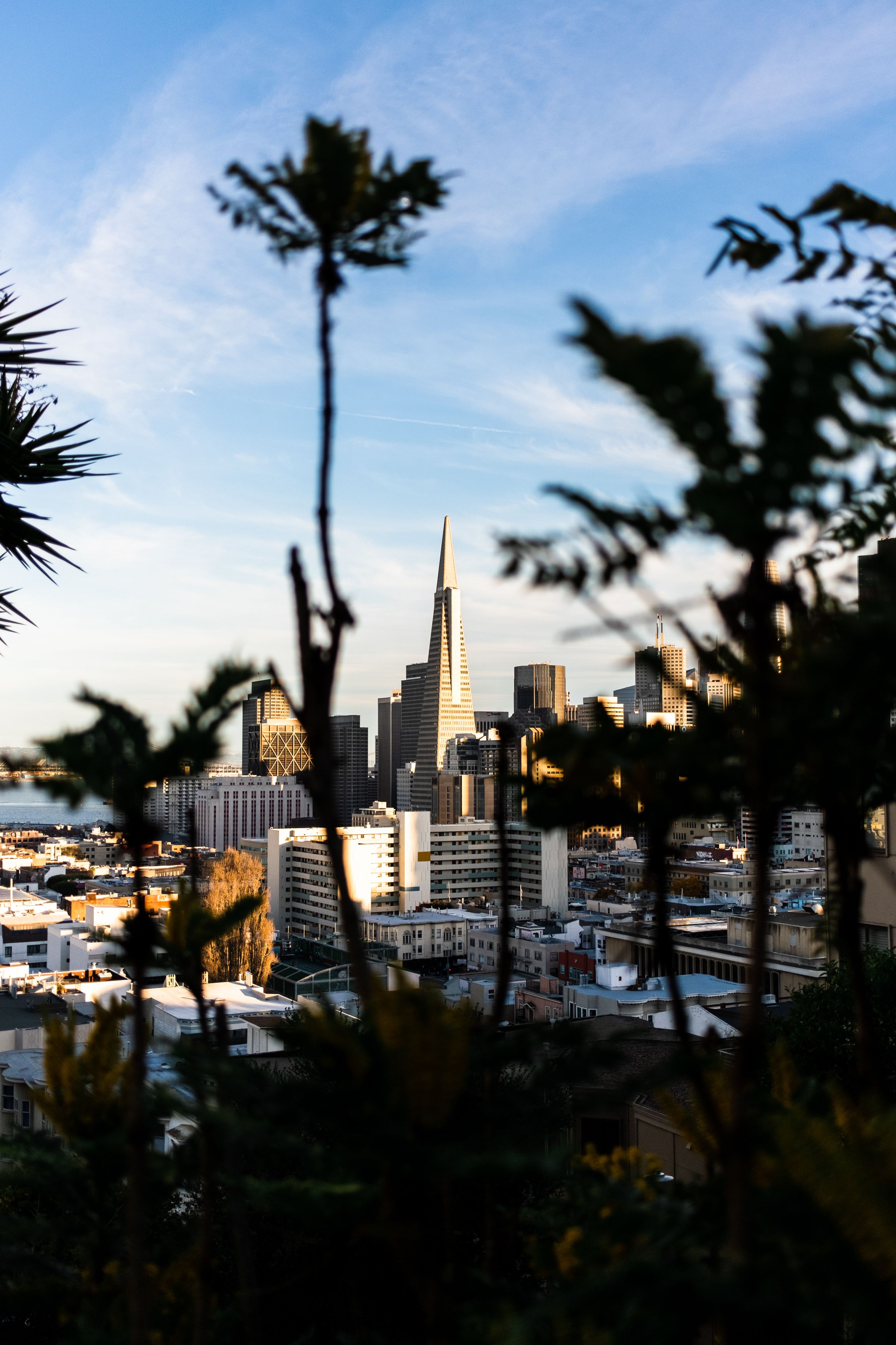 Among Us Photos, Download The BEST Free Among Us Stock Photos & HD Images