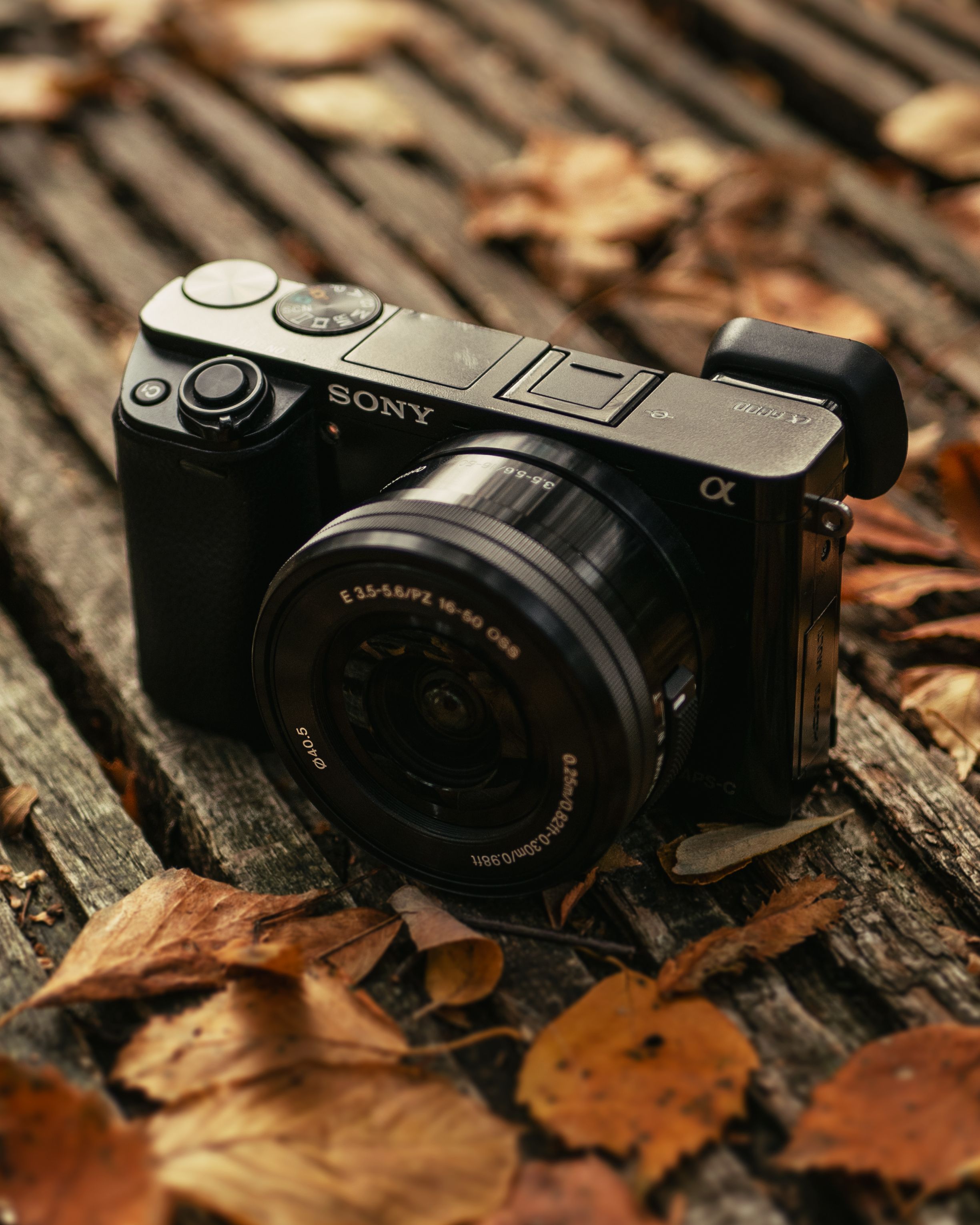 Black Sony Dslr Camera on Green Grass in Front of Brown and Green ...