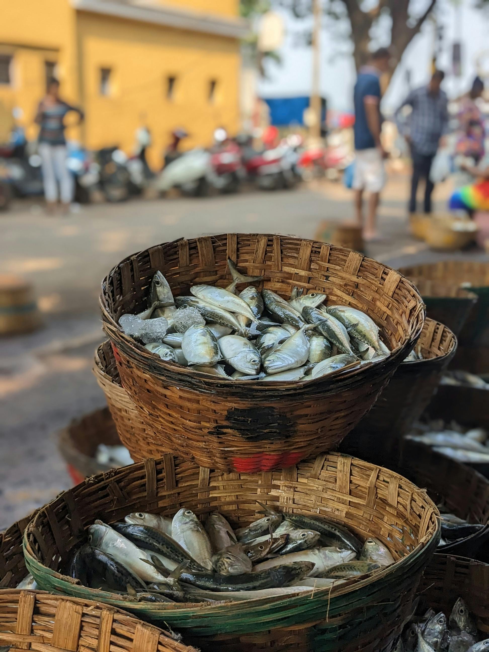 Joshua Miranda – Fotografie