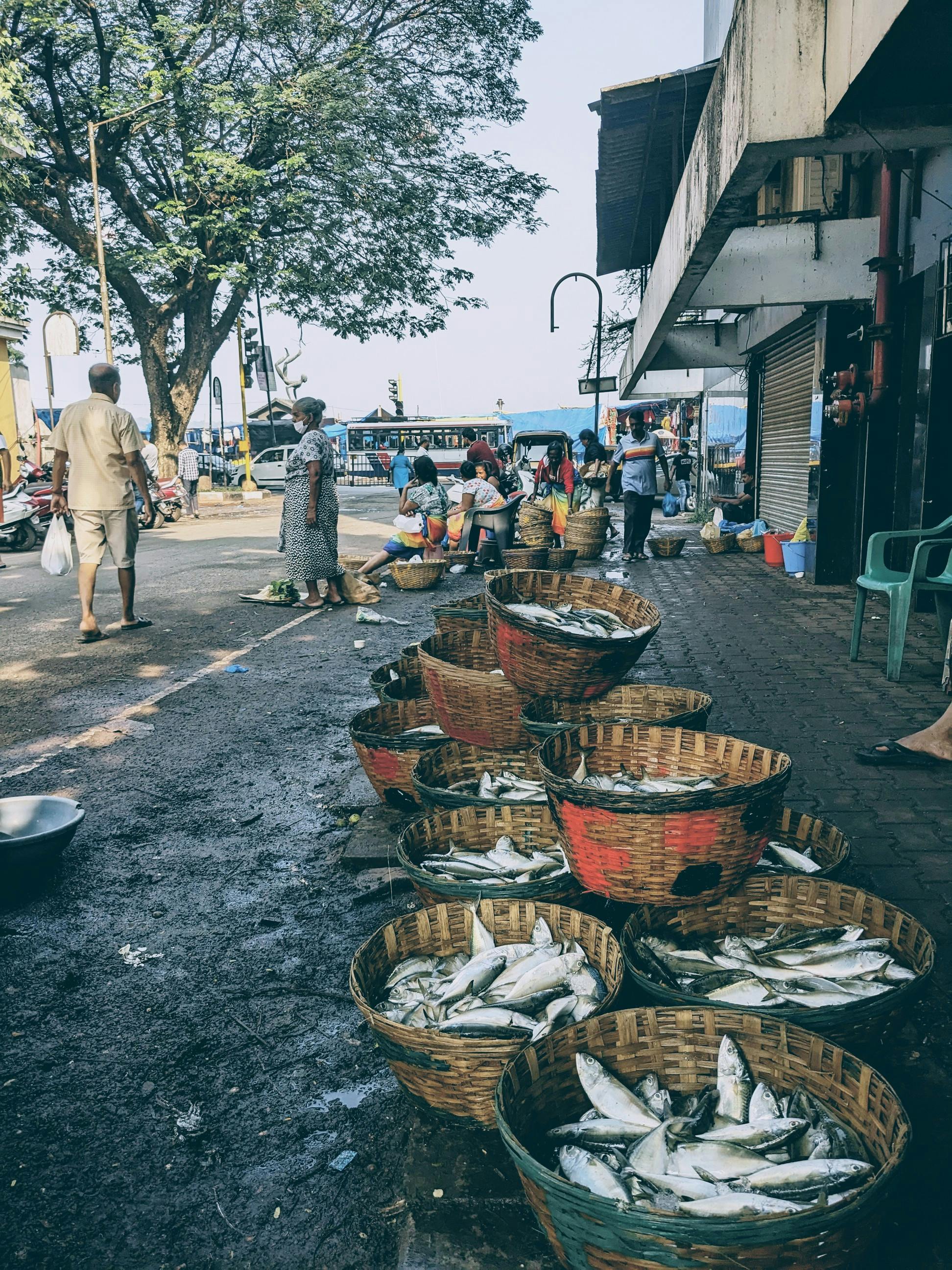 Fish in Baskets in a City · Free Stock Photo