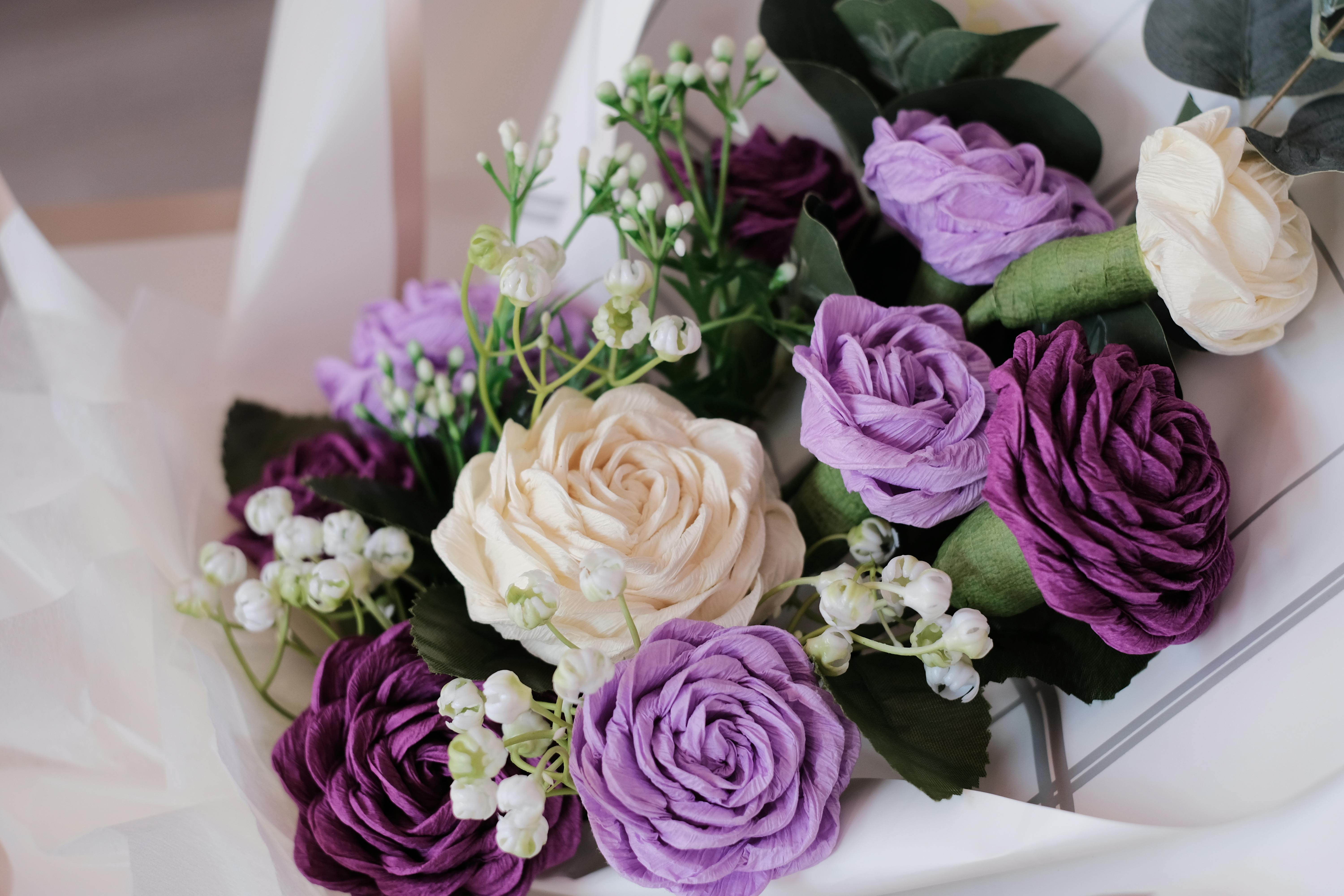 Colorful Flowers in Nature · Free Stock Photo