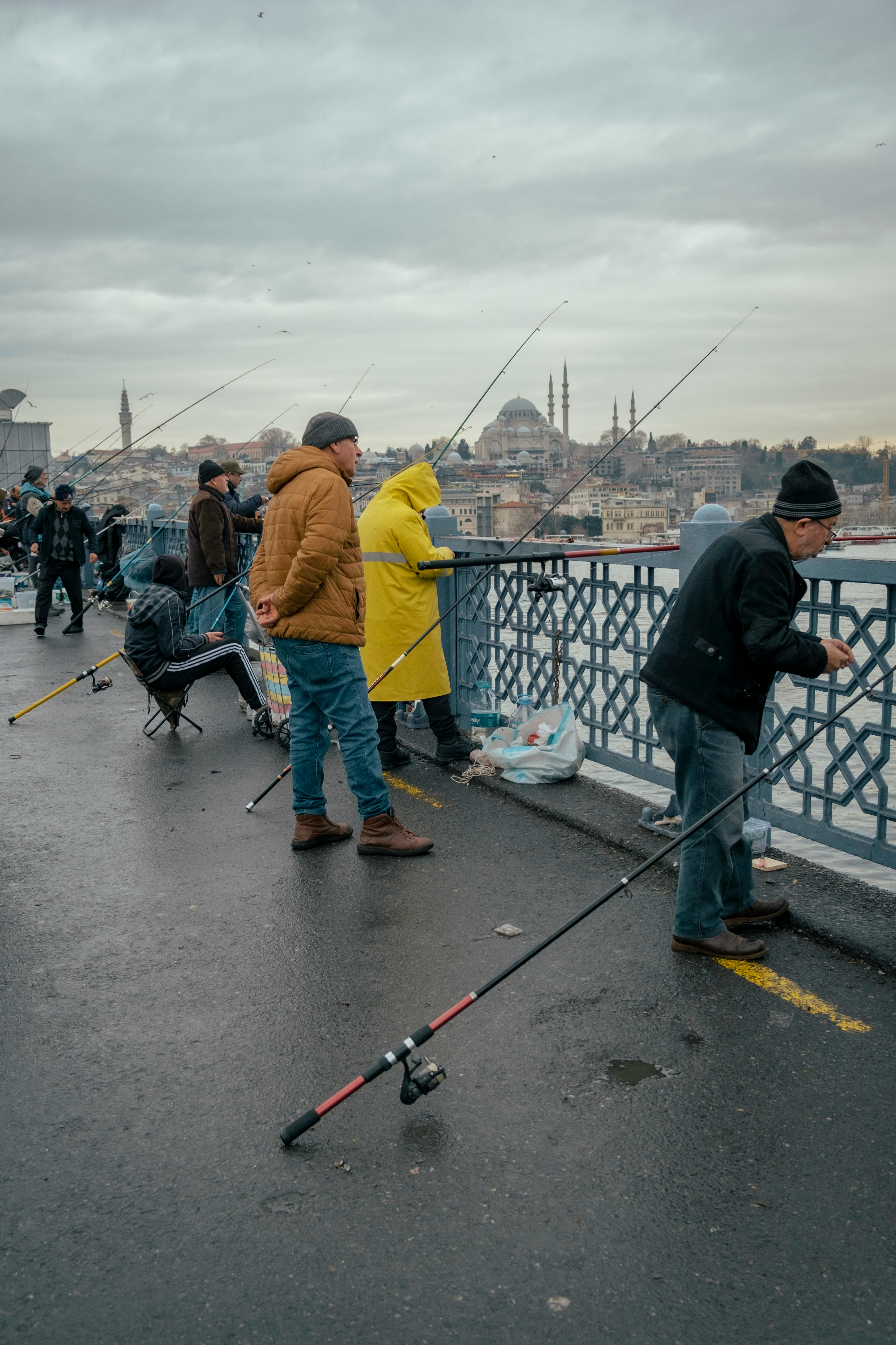 Fish Rain Photos, Download The BEST Free Fish Rain Stock Photos & HD Images