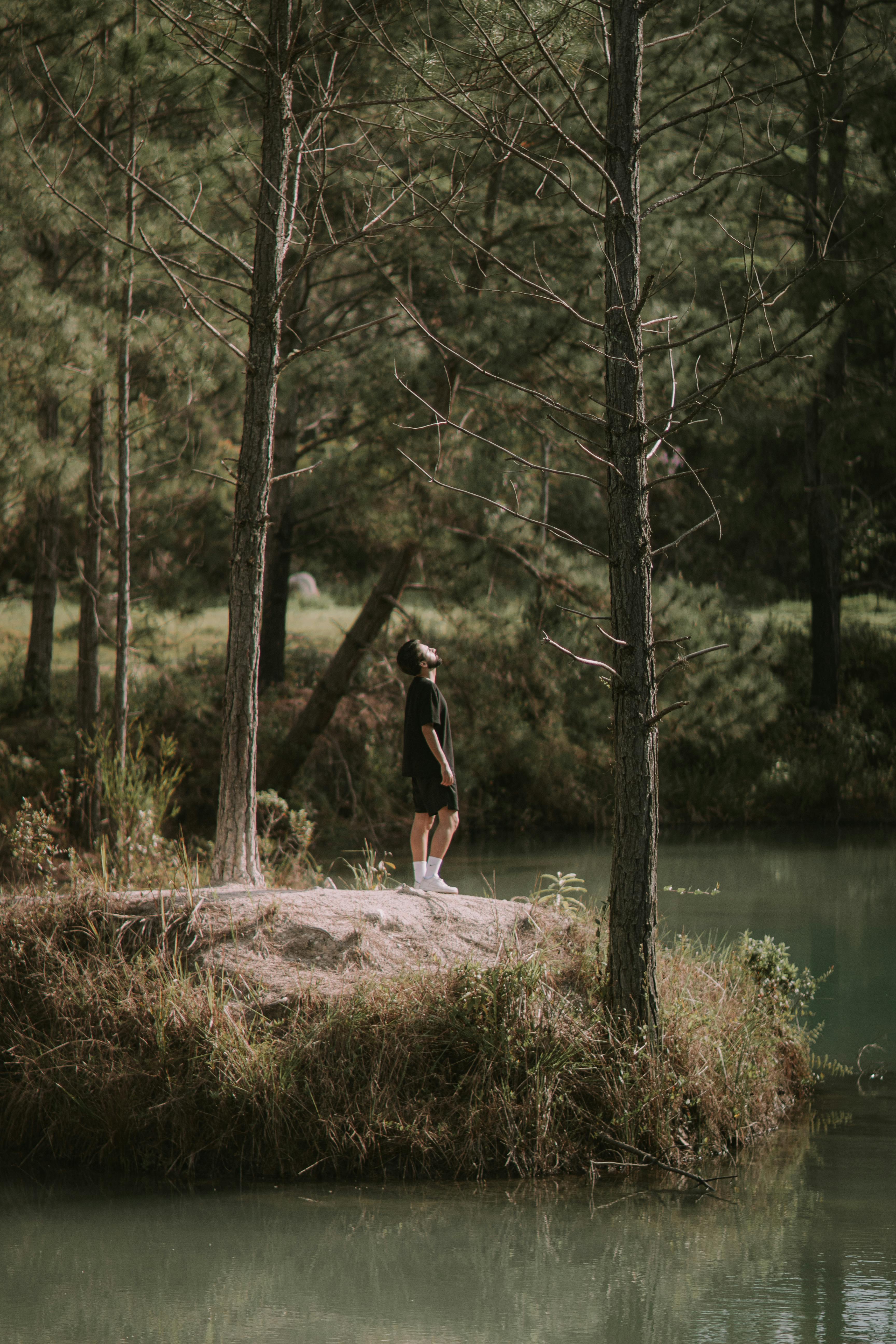 Man Looking at Trees · Free Stock Photo