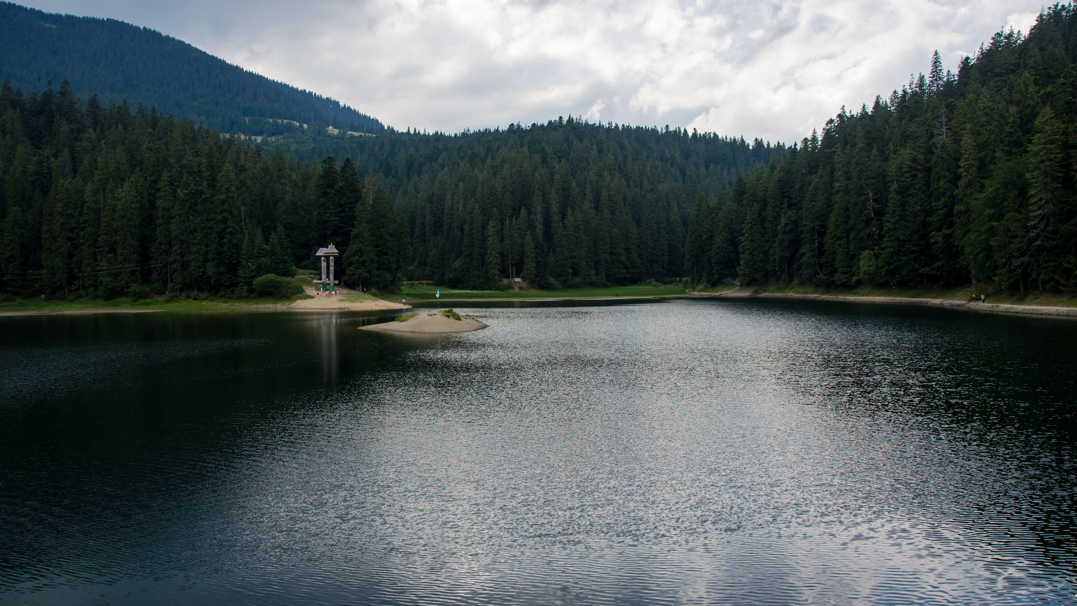 Evergreen Forest in Mountains · Free Stock Photo