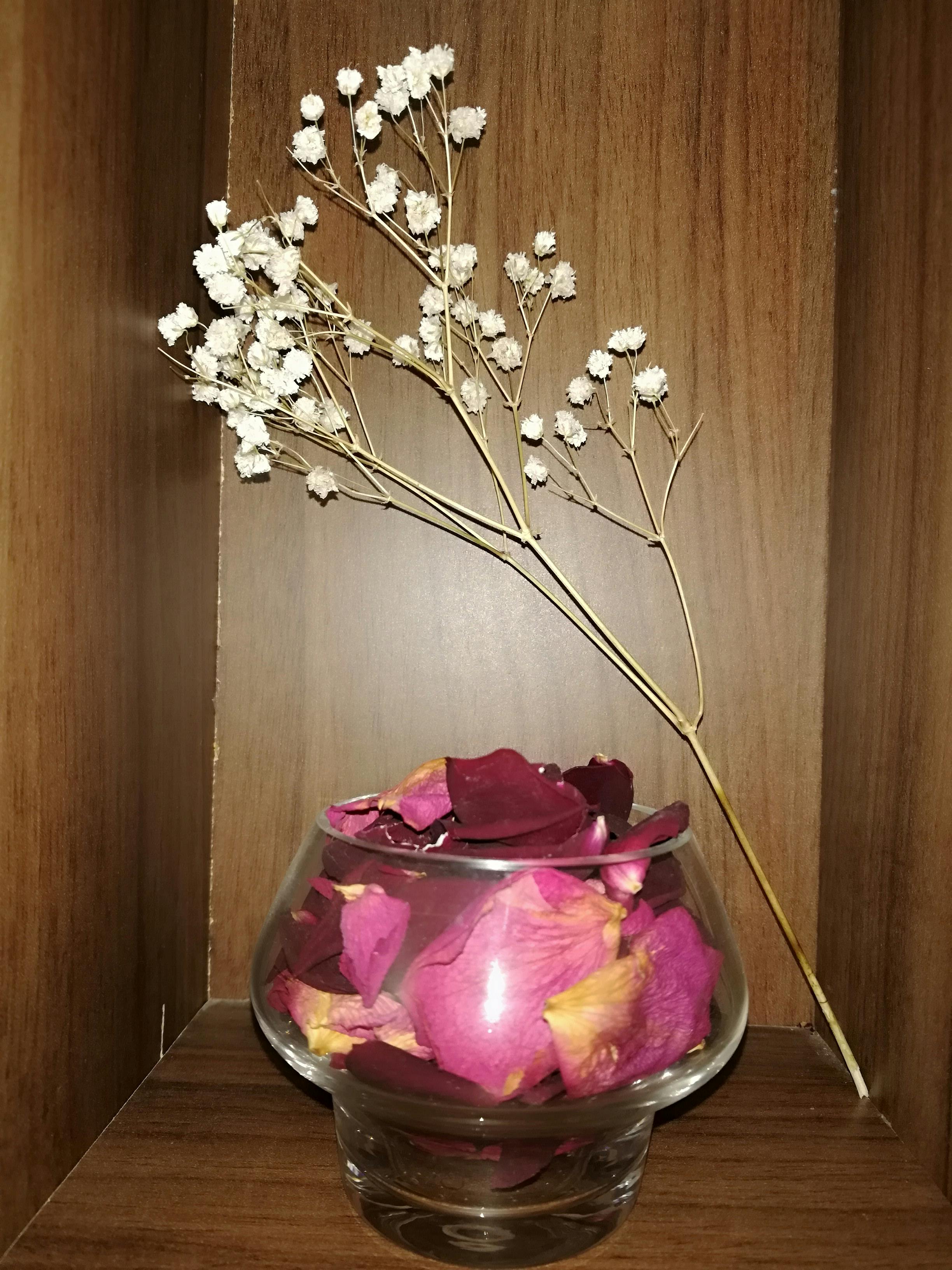 Nour Issa – Fotografie