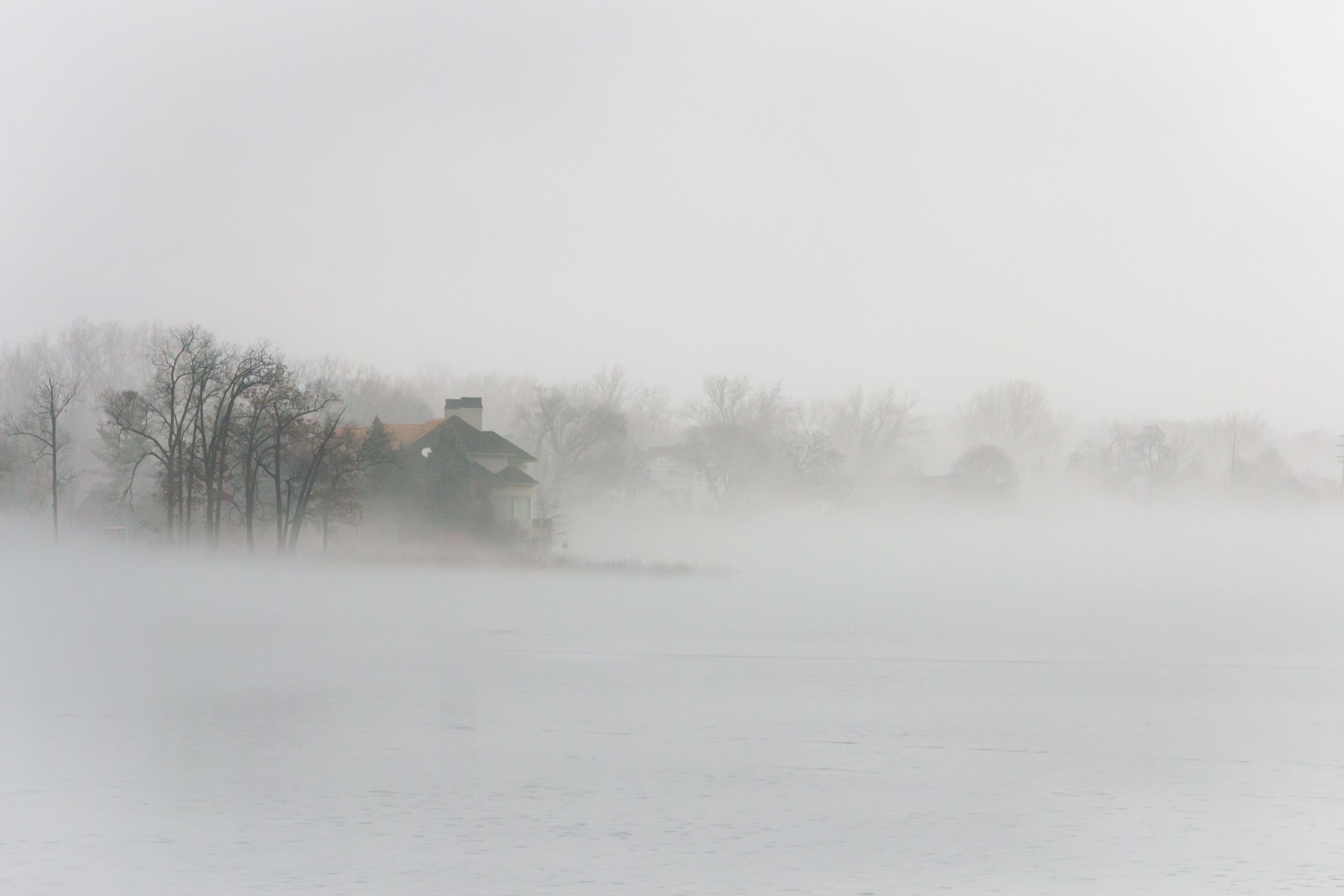 Foggy Snow Covered Landscape · Free Stock Photo