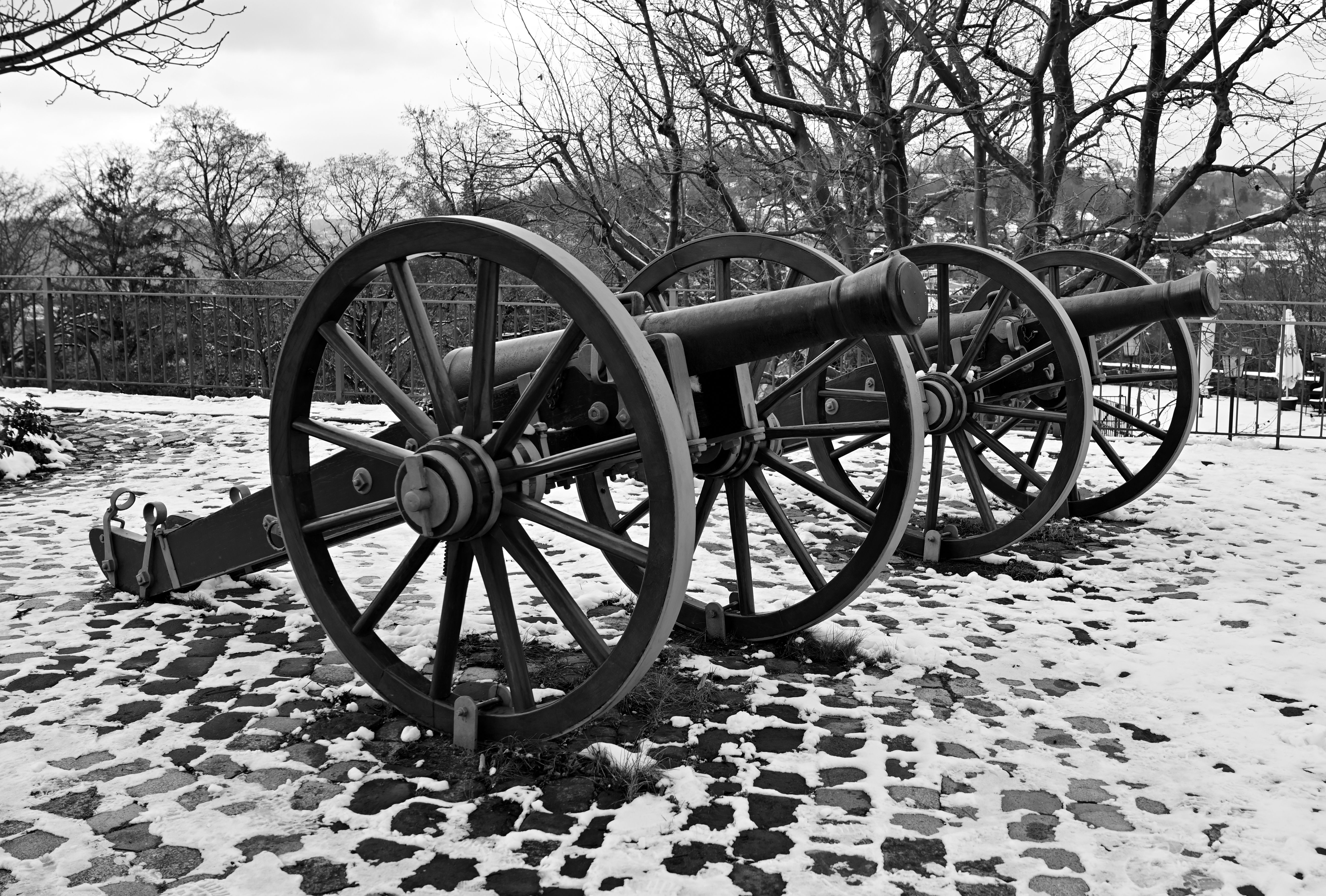 Canons in Winter · Free Stock Photo
