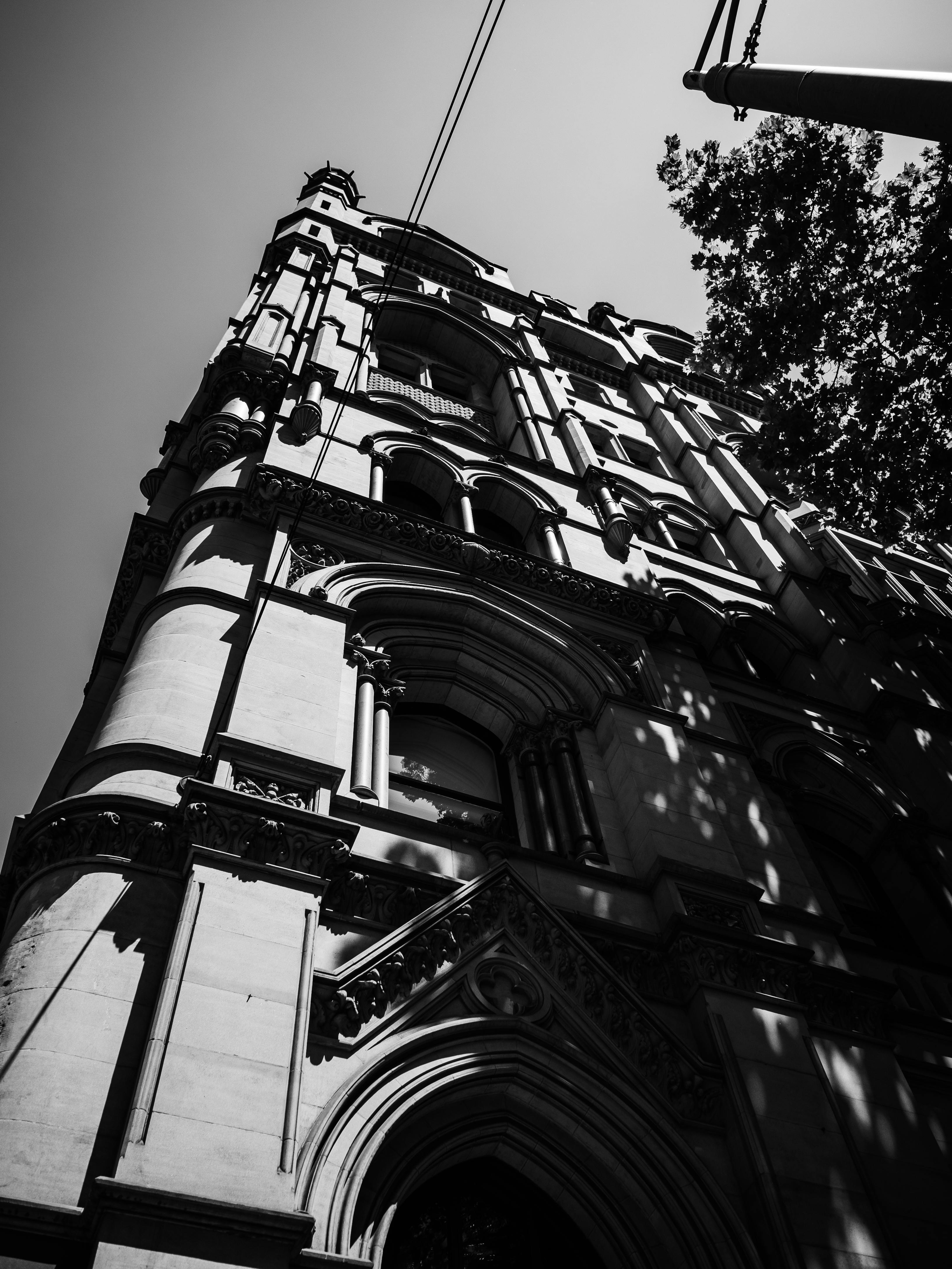 Tree Shadow on Building Wall · Free Stock Photo