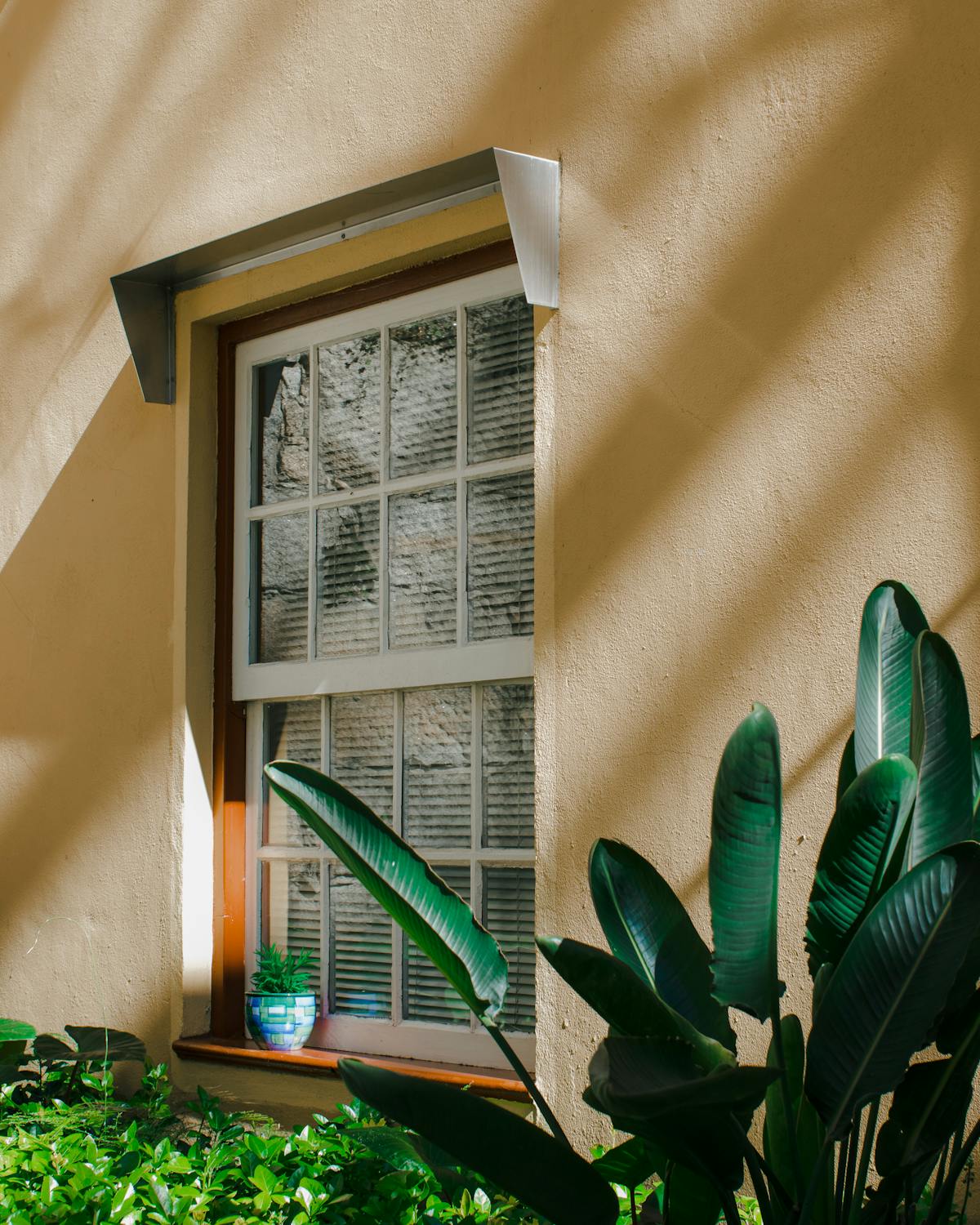 House Window Photos, Download The BEST Free House Window Stock Photos ...