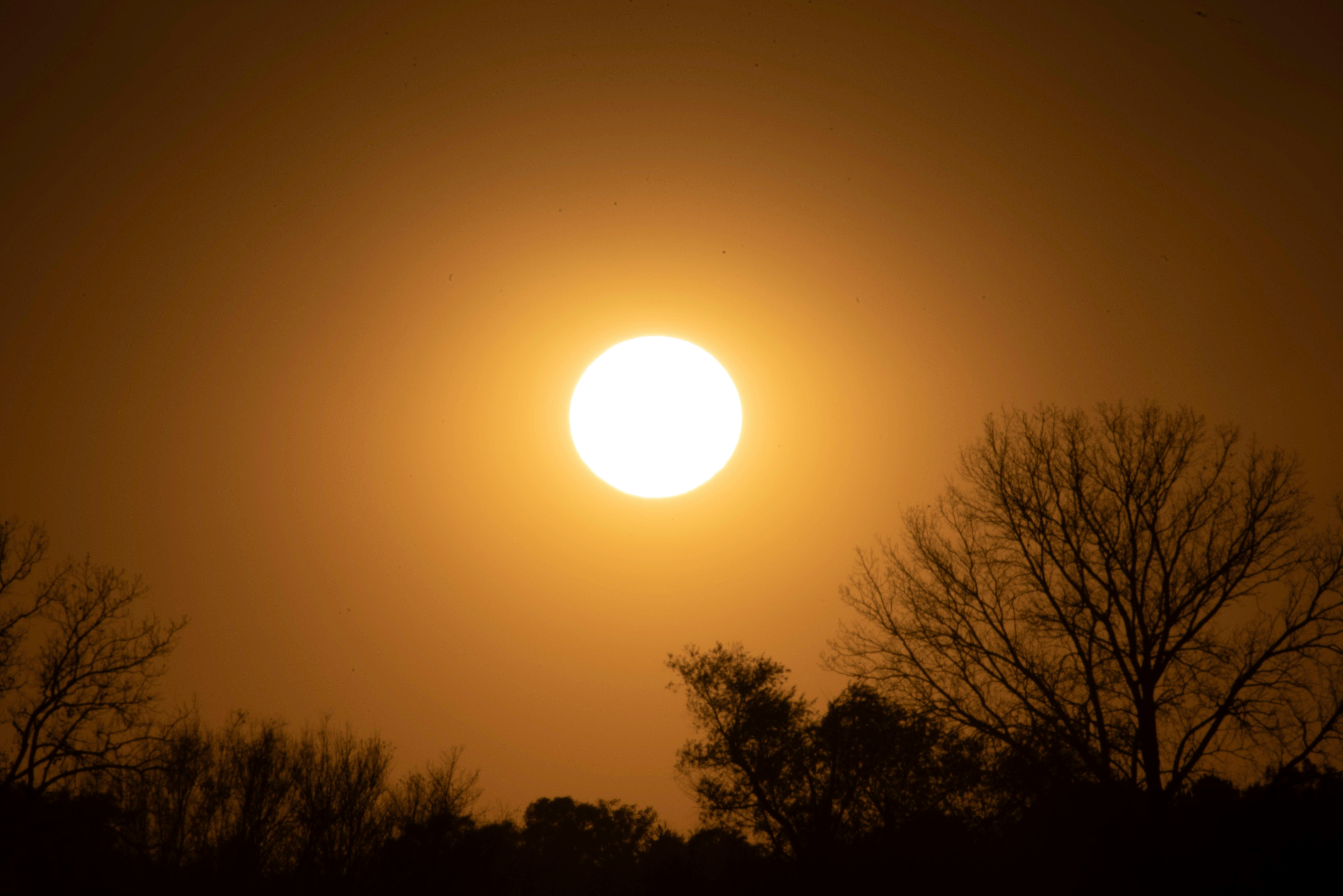 Free stock photo of afternoon, scenic, sky