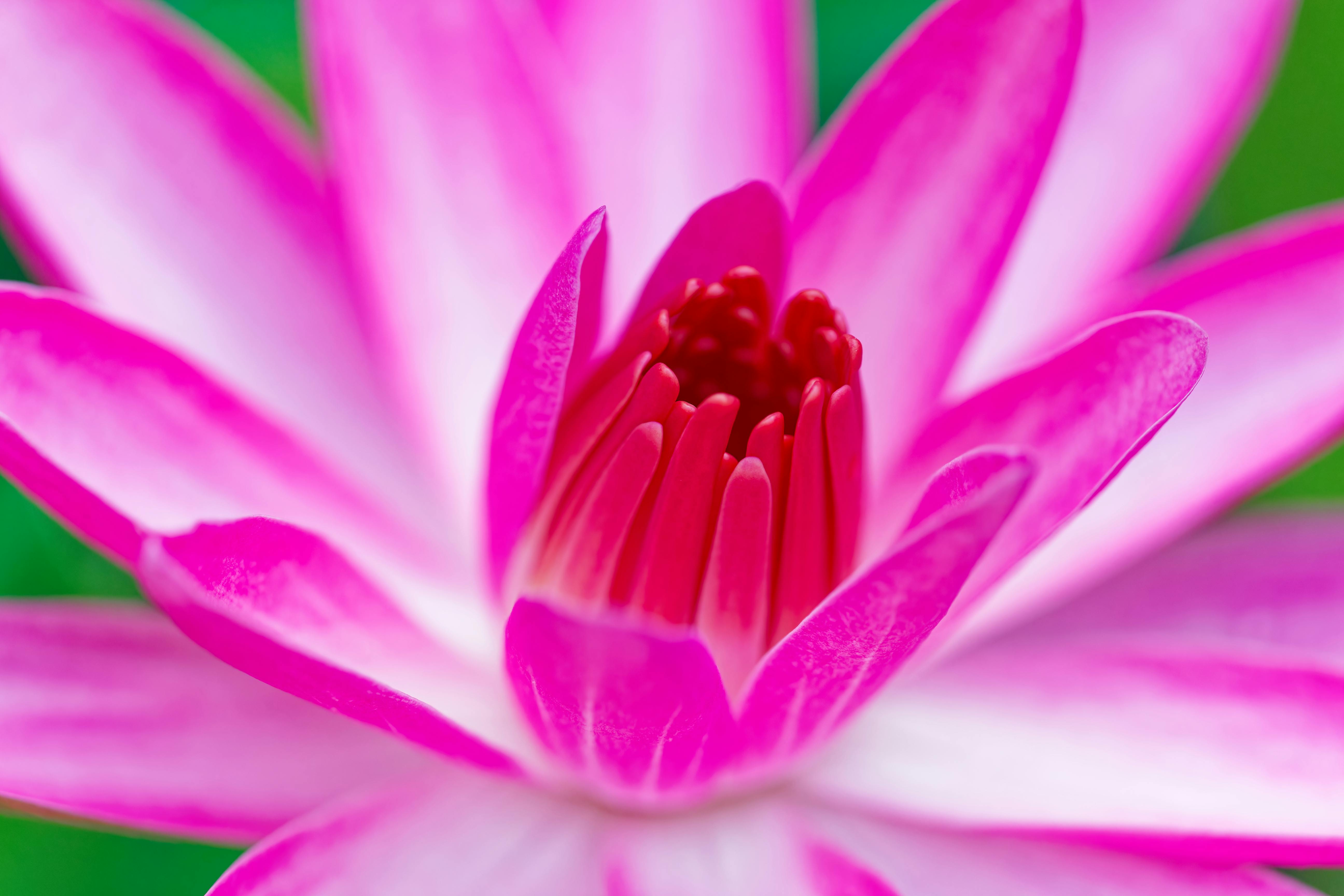 David Levinson - Photographie