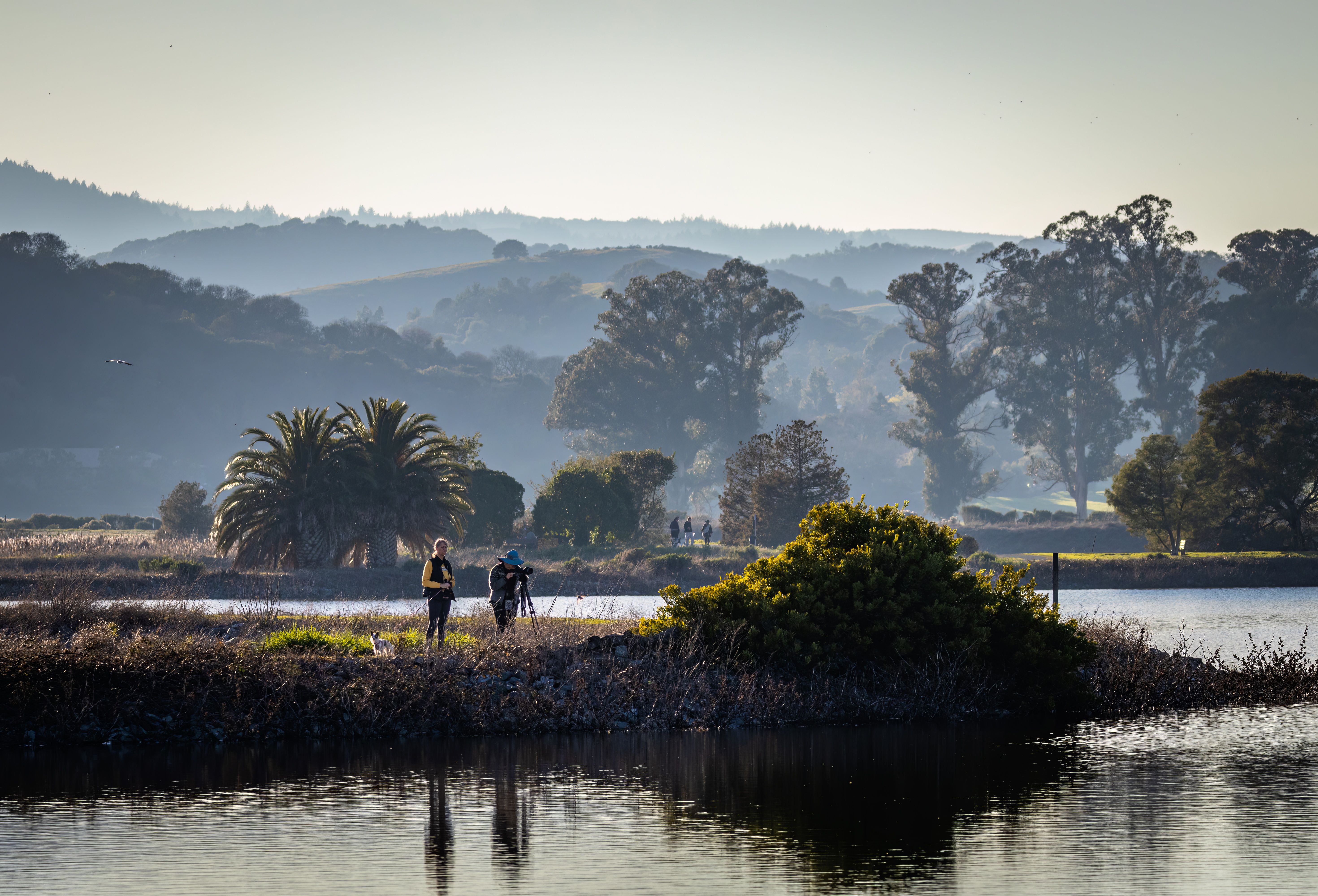 People Taking Photographs in a Tropical Environment · Free Stock Photo