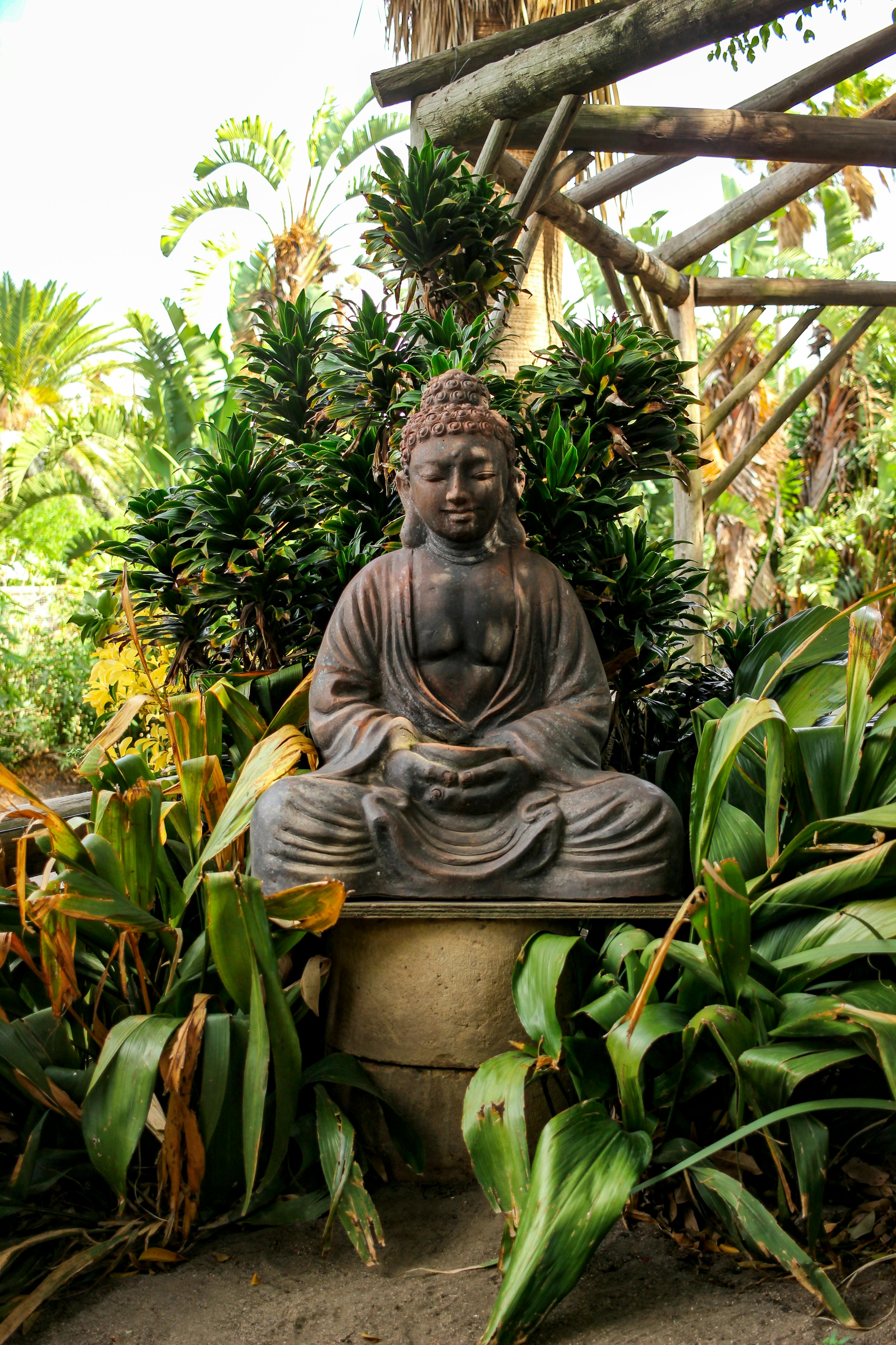 PLANTS 42 Photos & Videos Collected by Laura Alessia