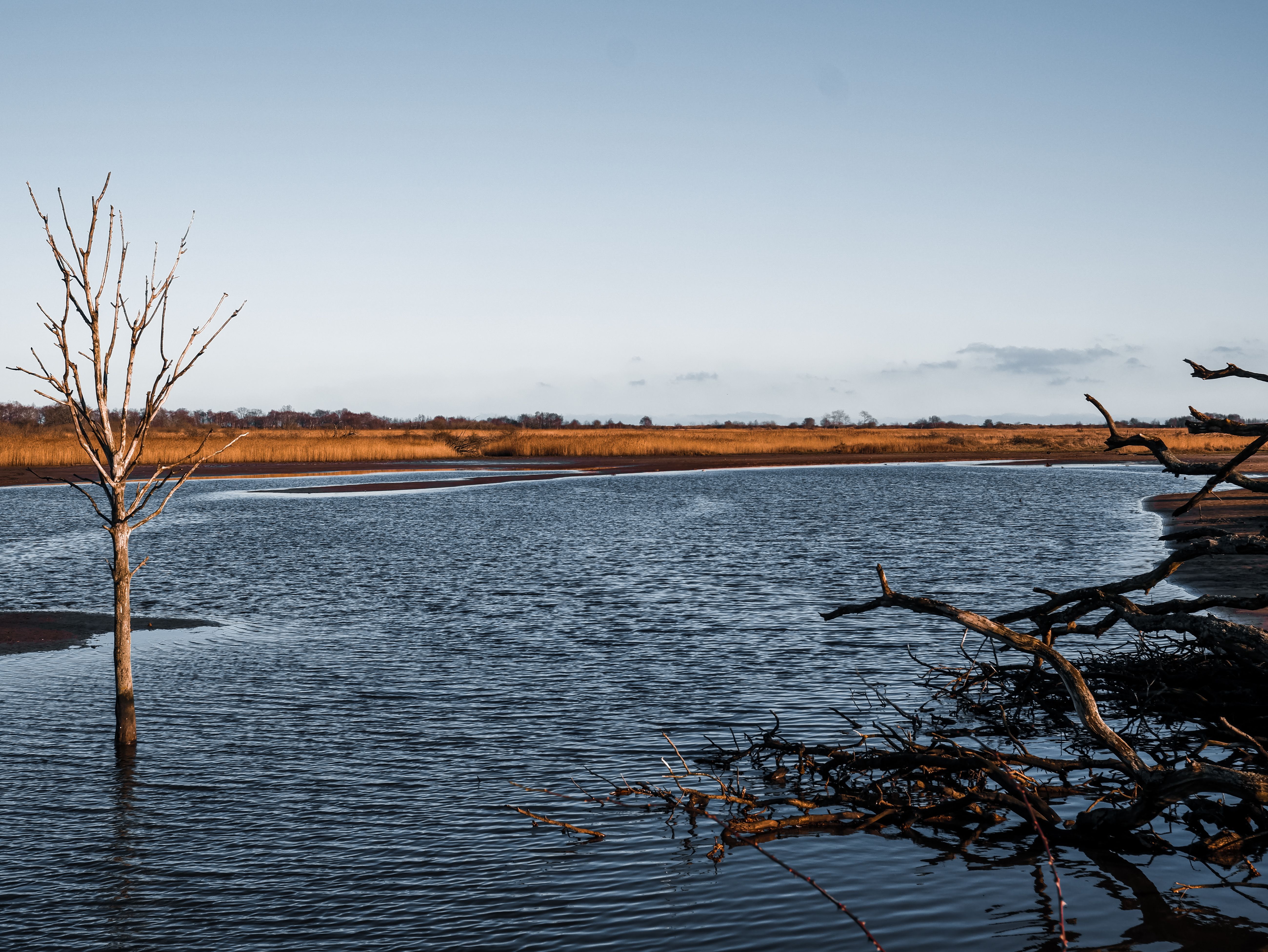 Wide Angle View of a Lake · Free Stock Photo