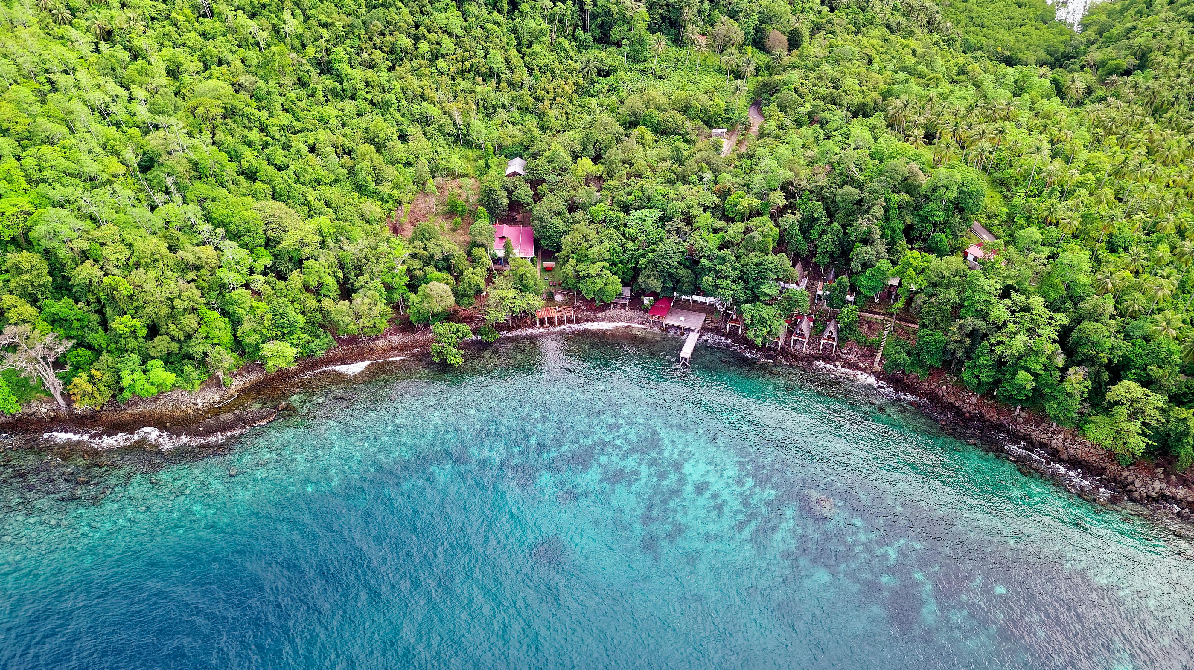 Boats on Sea Beside Grass Field · Free Stock Photo