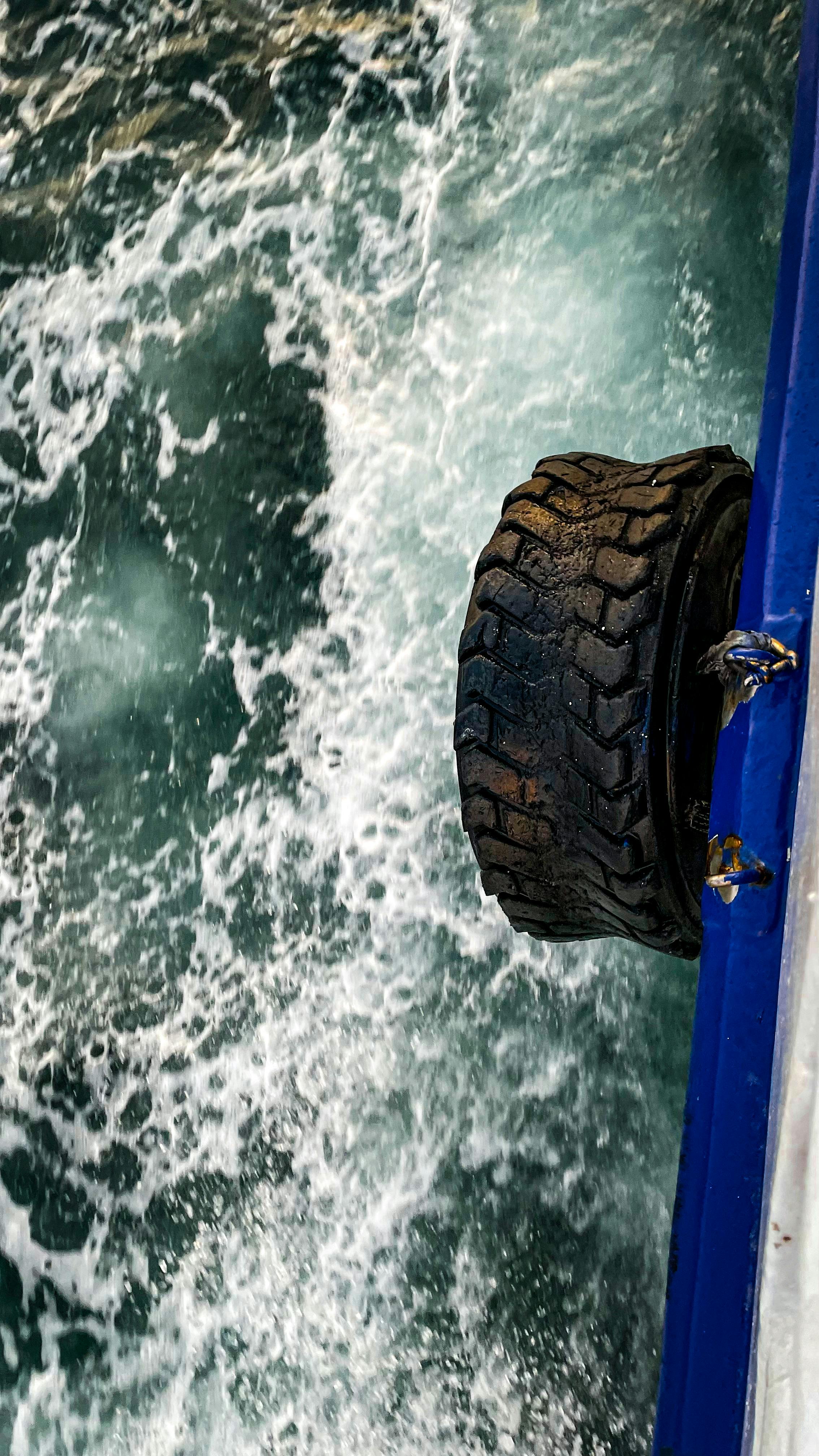 Zeynep Sena Demir - 사진