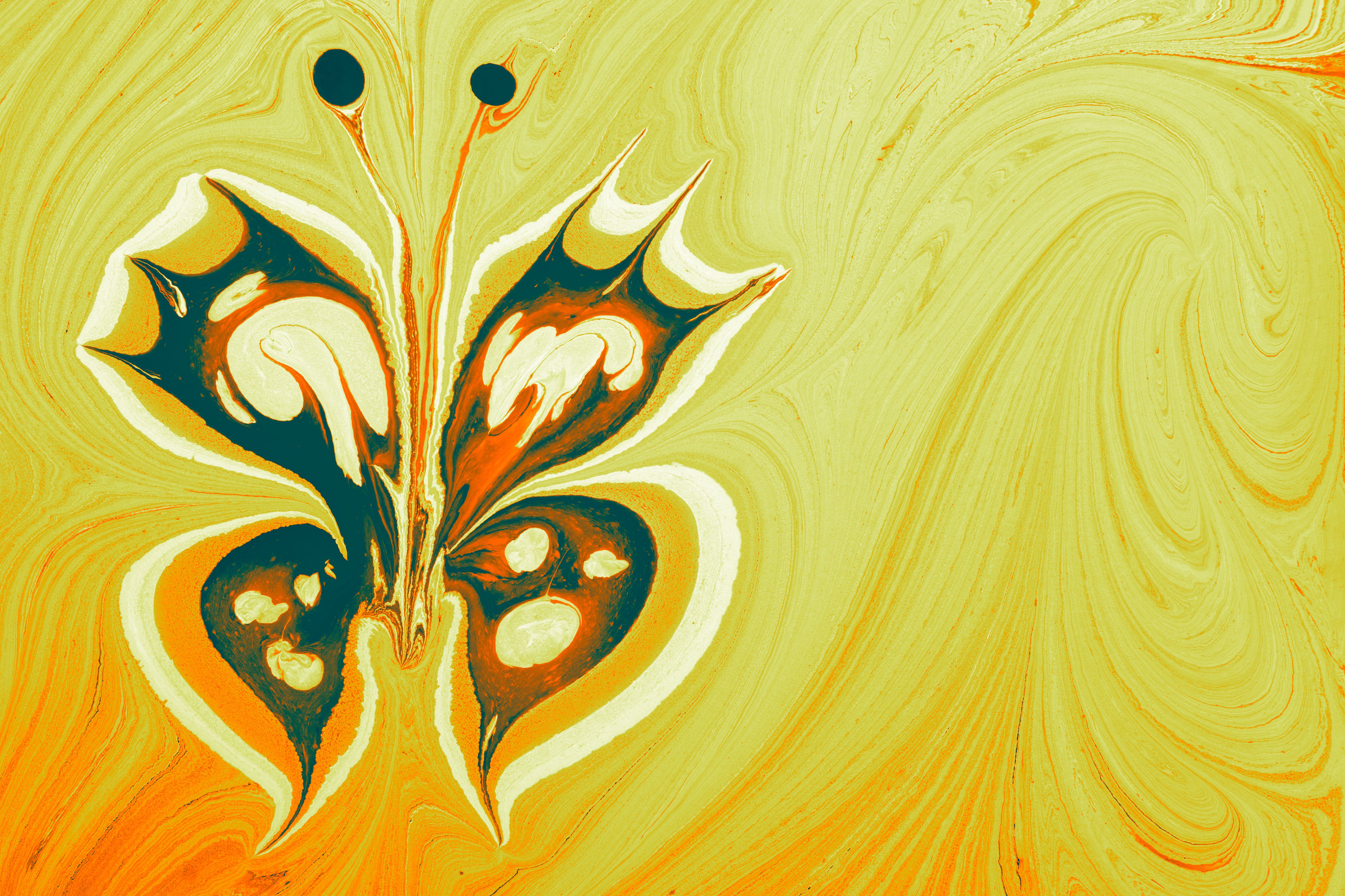 Green Butterfly Abstract Painting Photos, Download The BEST Free Green ...