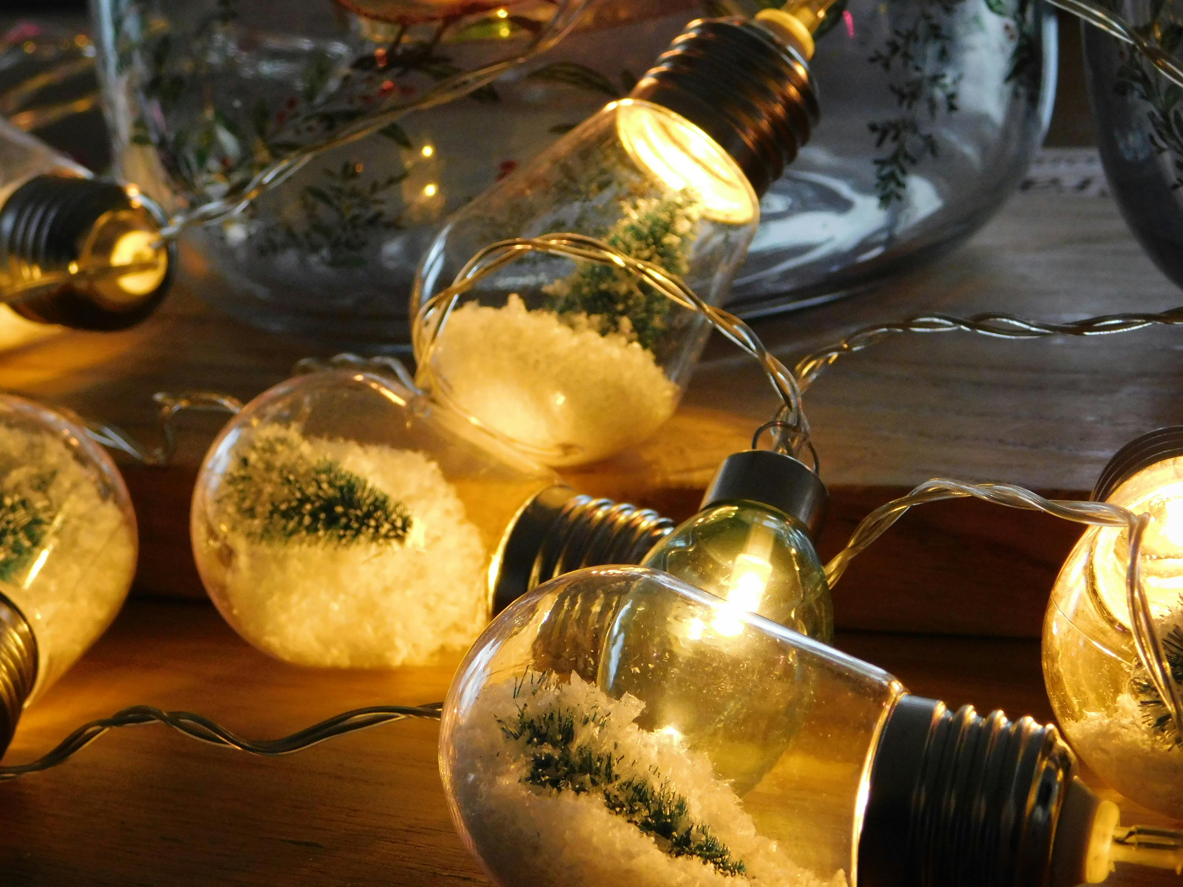 Maria Sealey - Fotografía