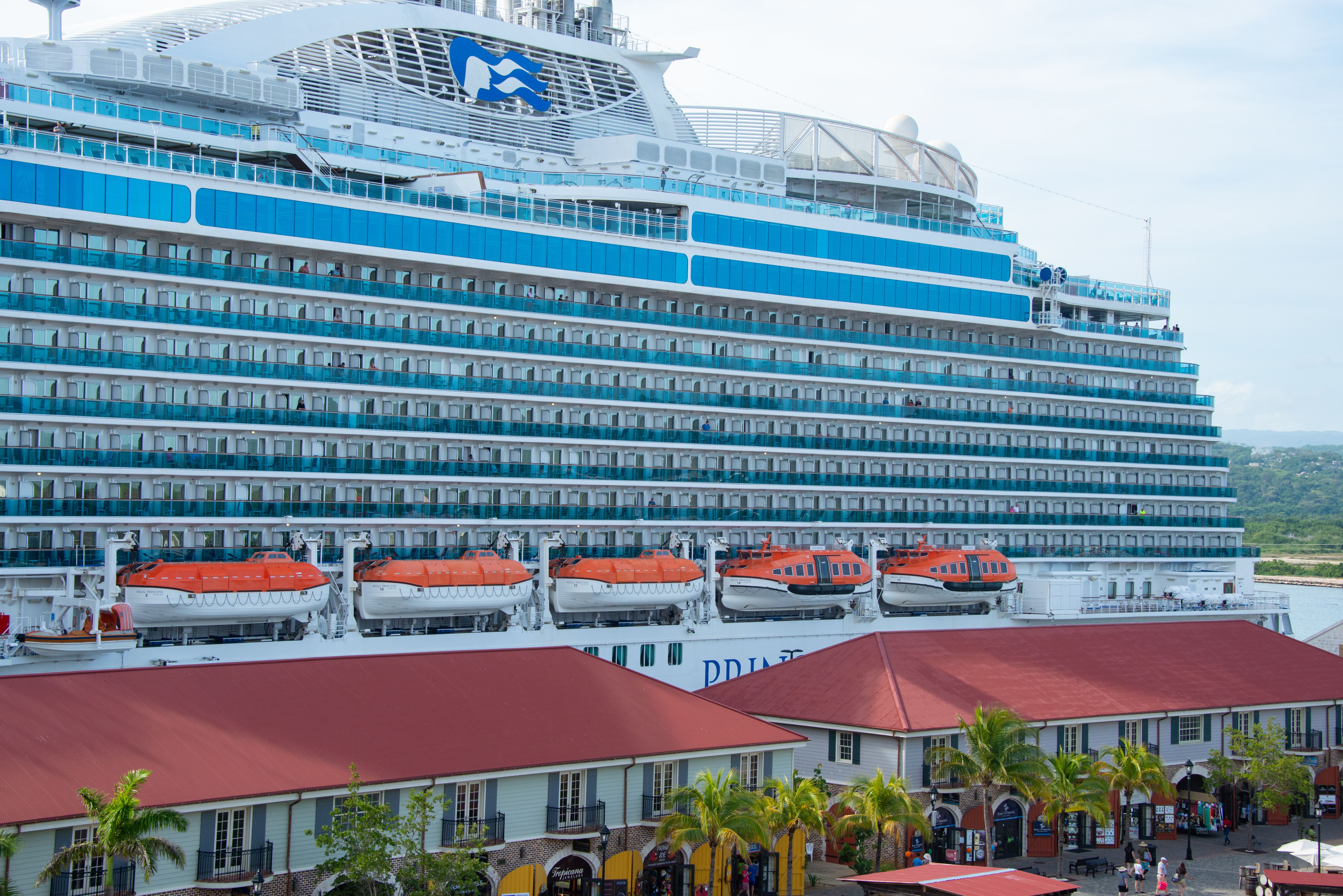 Regal Princess Cruise Ship in a Harbor · Free Stock Photo