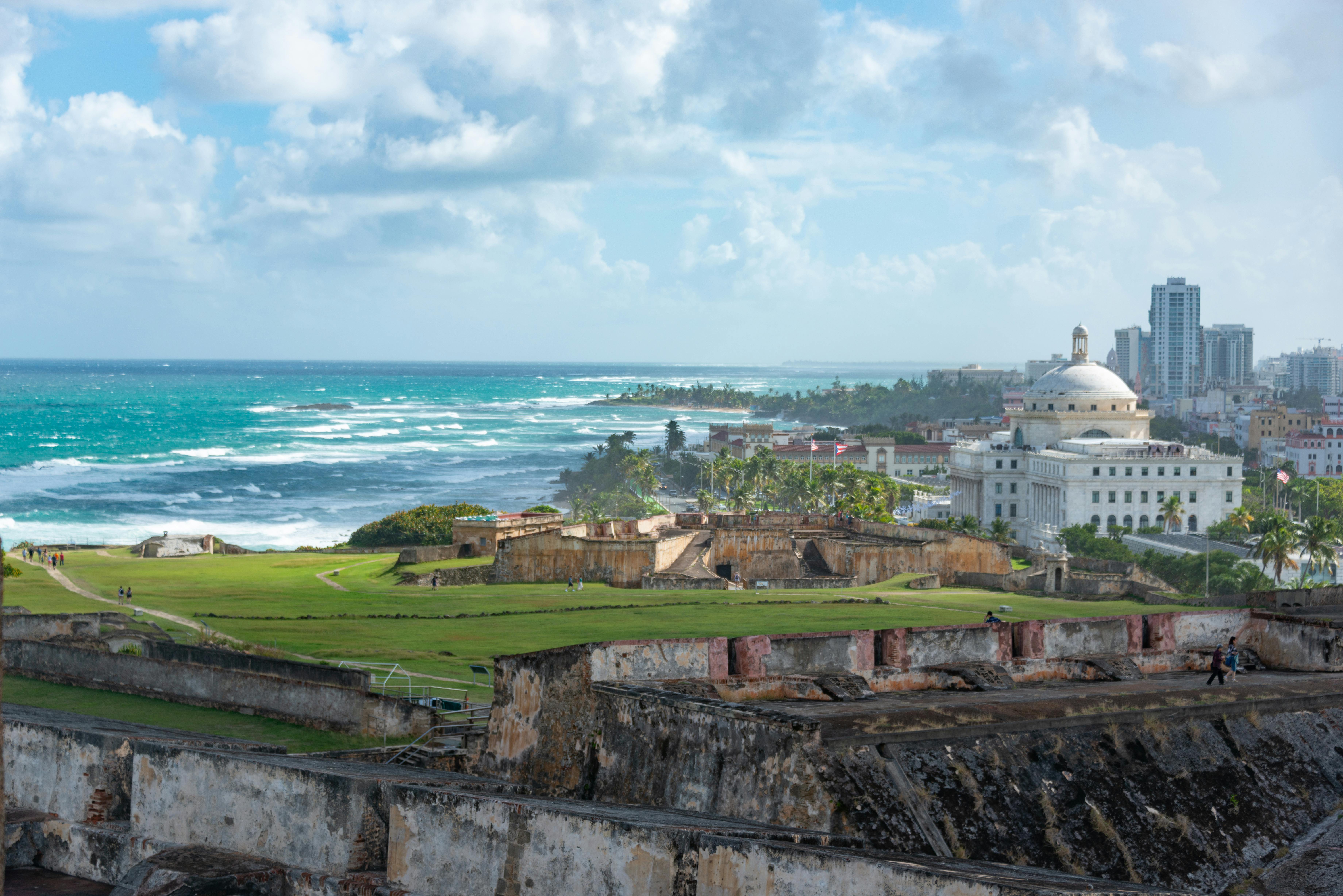 Sua Daggdjur Photos, Download The BEST Free Sua Daggdjur Stock Photos ...