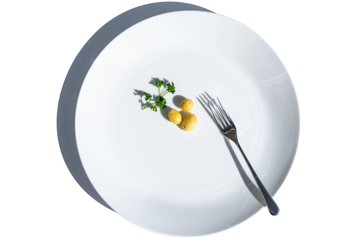 Food Plate Photos, Download The BEST Free Food Plate Stock Photos & HD ...