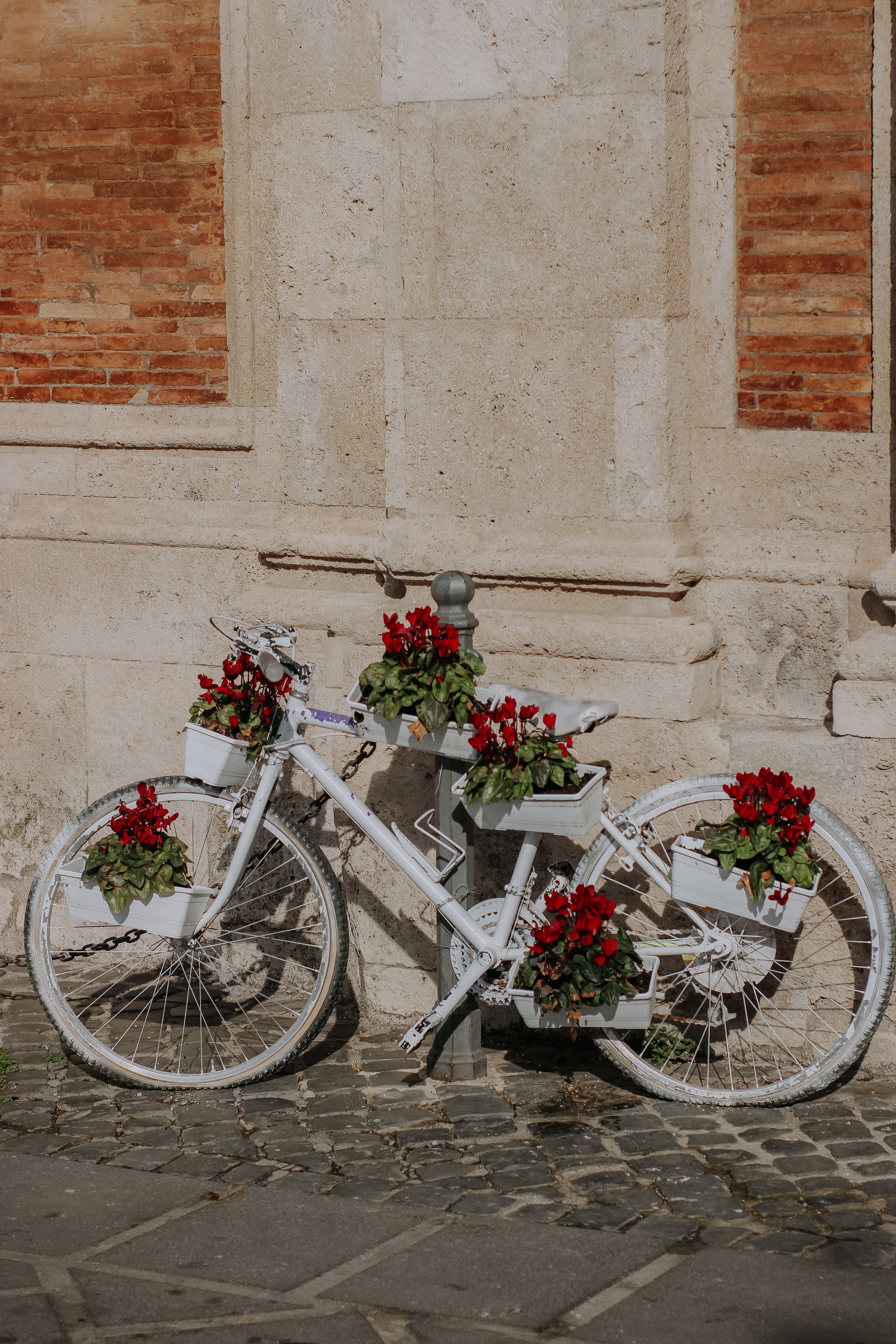 Bicycle Decorated with Flowers · Free Stock Photo