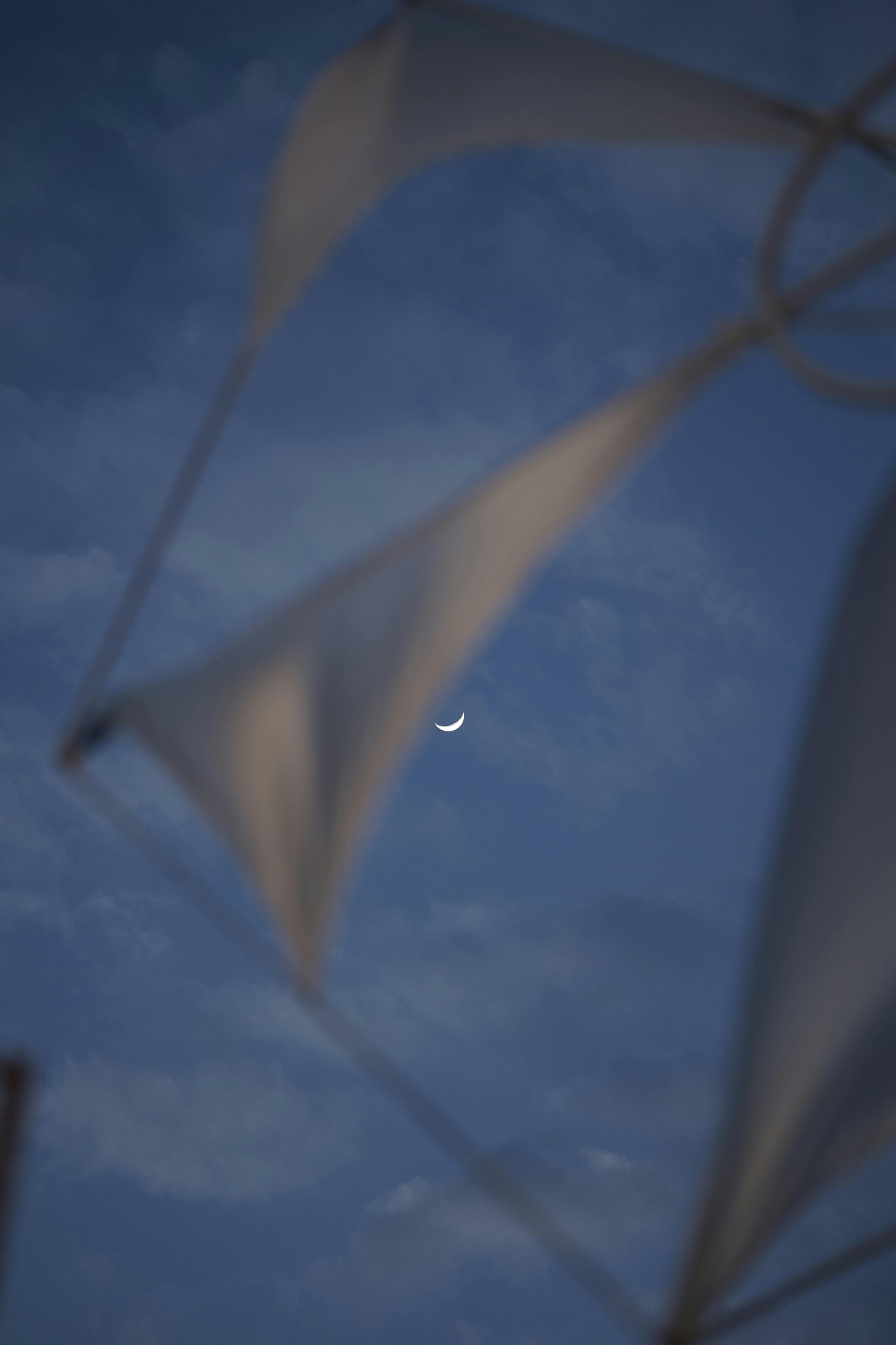 Wind Blowing Before Rain Photos, Download The BEST Free Wind Blowing ...